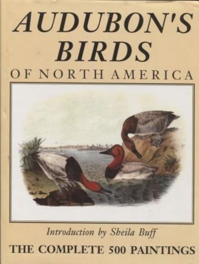 Audubon Birds Of North America