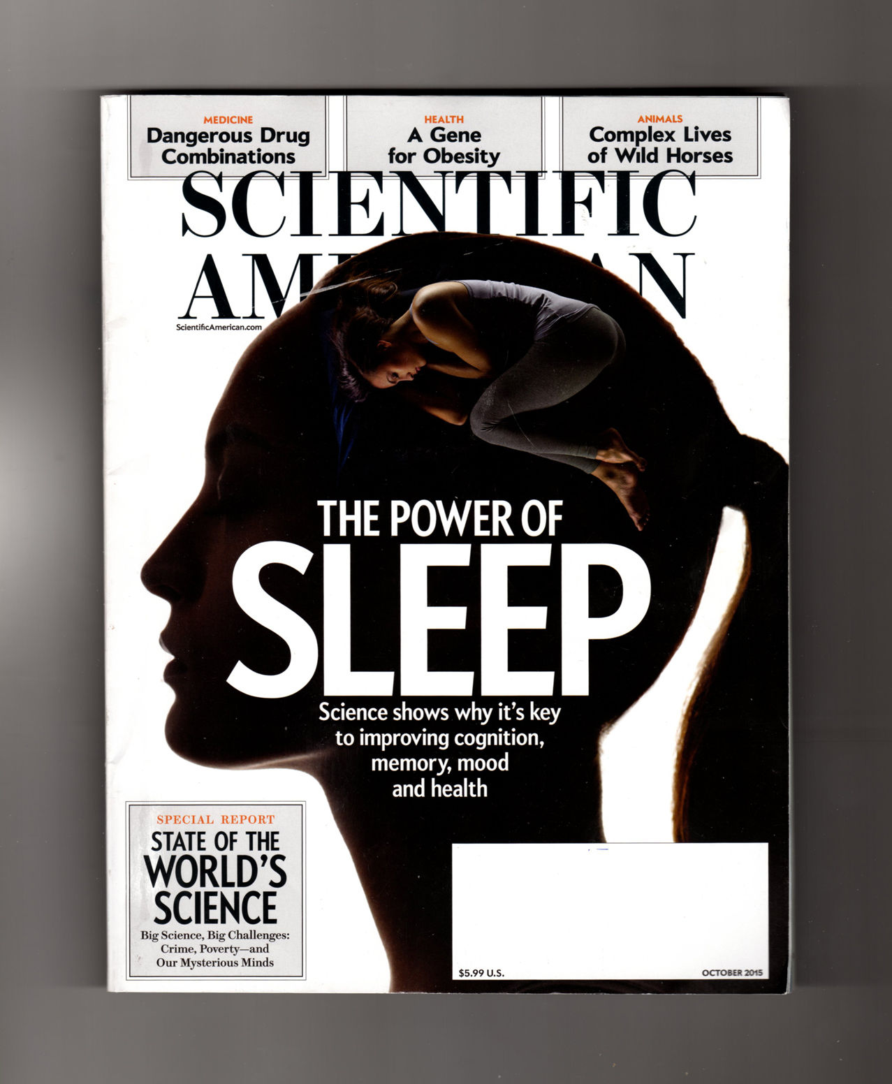 BIBLIO | Scientific American / October, 2015 - The Power of Sleep ...