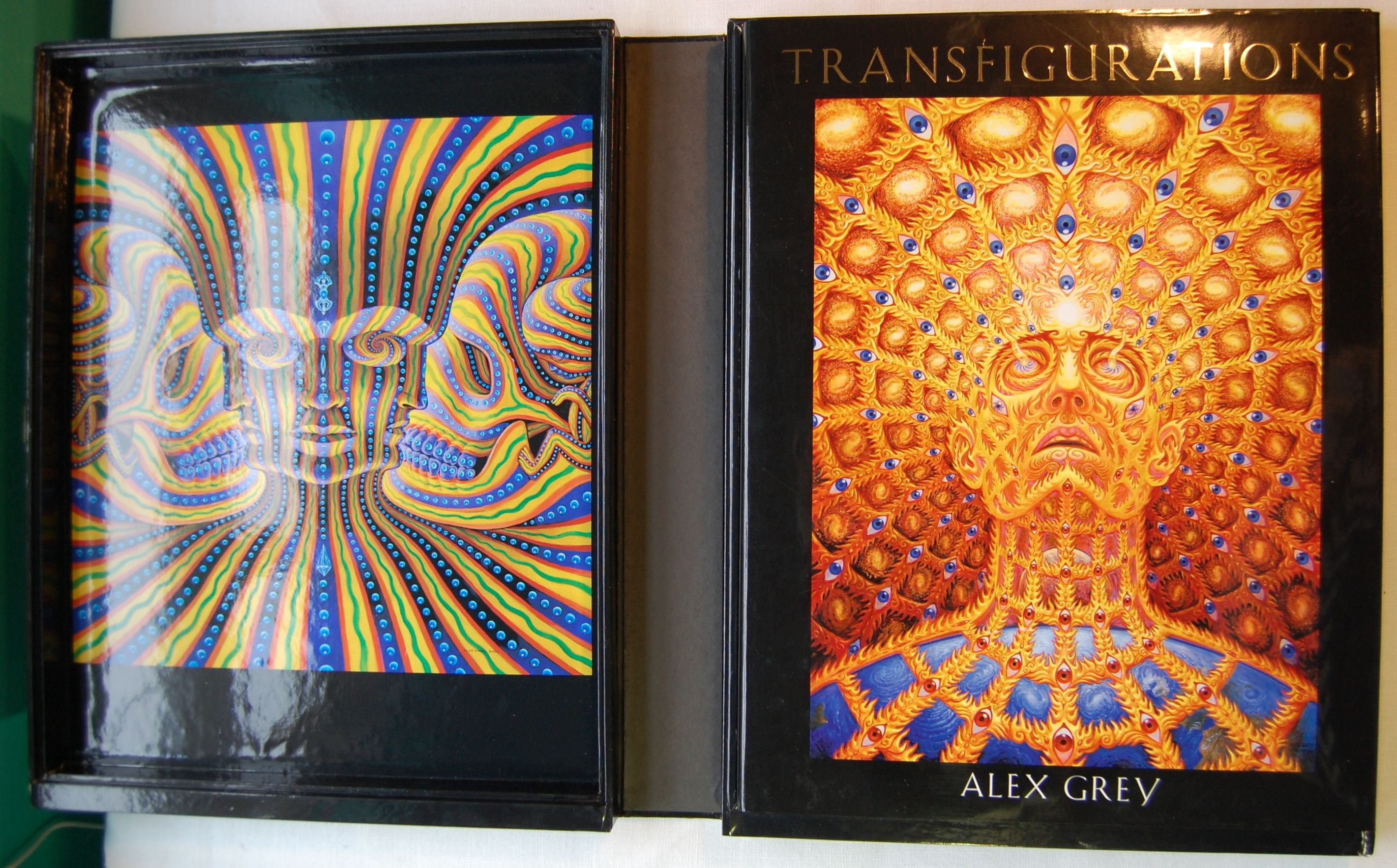 Alex Grey Transfigurations Book