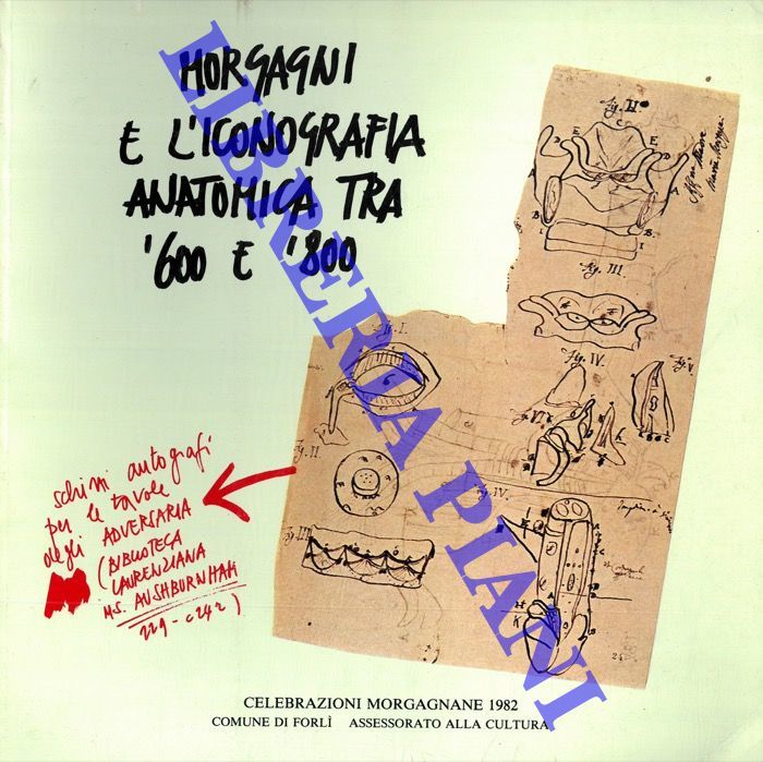 Morgagni e l'iconografia anatomica tra '600 e '800. by - | | | | BIBLIO