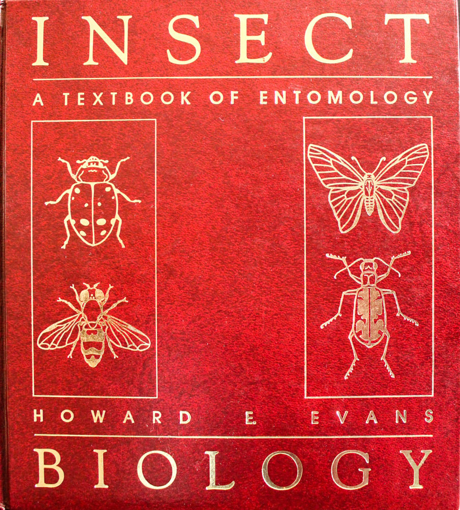 Basic Entomology