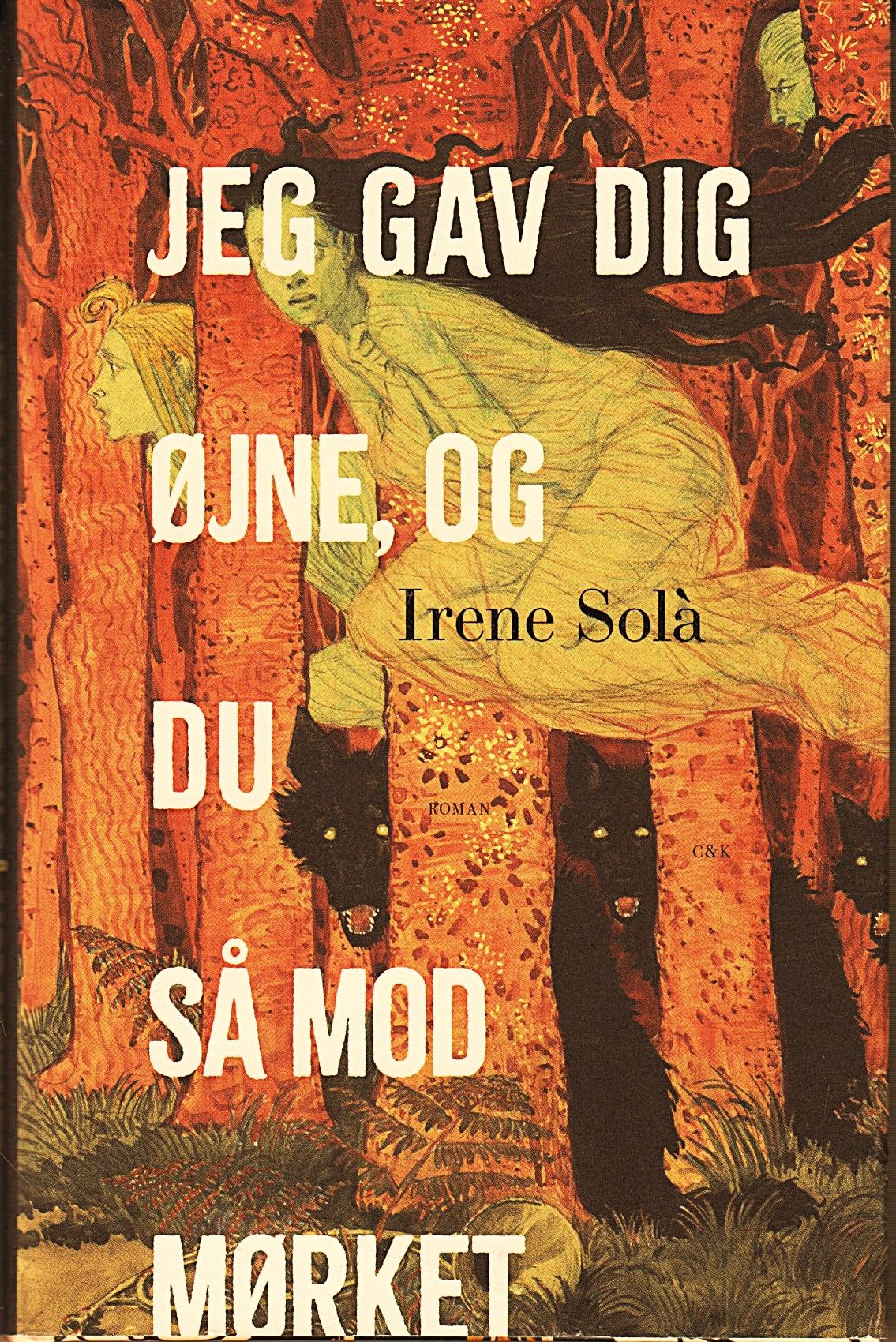 Jeg gav dig øjne, og du så mod mørket | Antikvariat