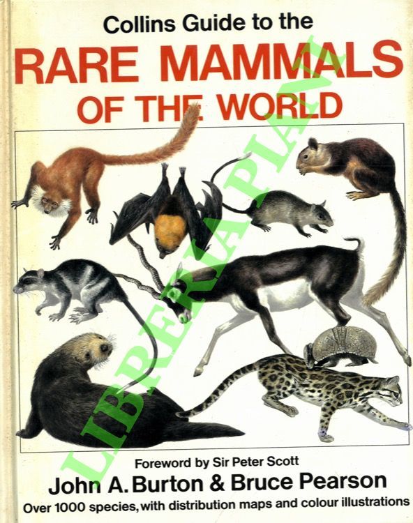 Collins Guide to the Rare Mammals of the World. von BURTON John A ...