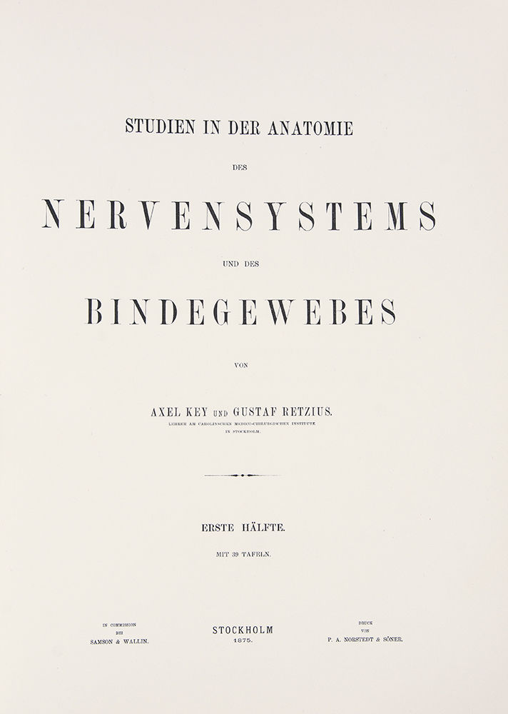 Studien in der Anatomie des Nervensystems und des Bindegewebes by KEY ...