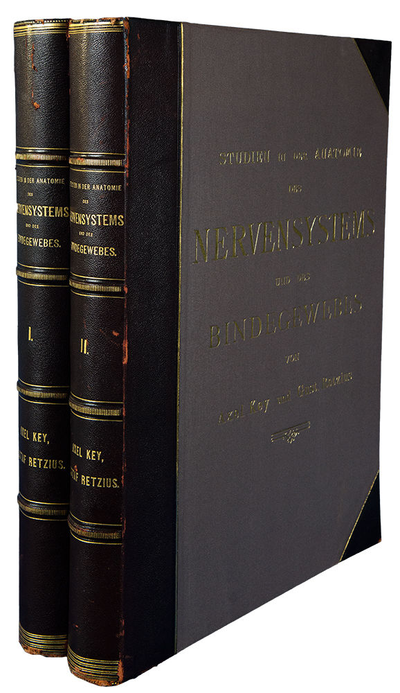 Studien in der Anatomie des Nervensystems und des Bindegewebes by KEY ...