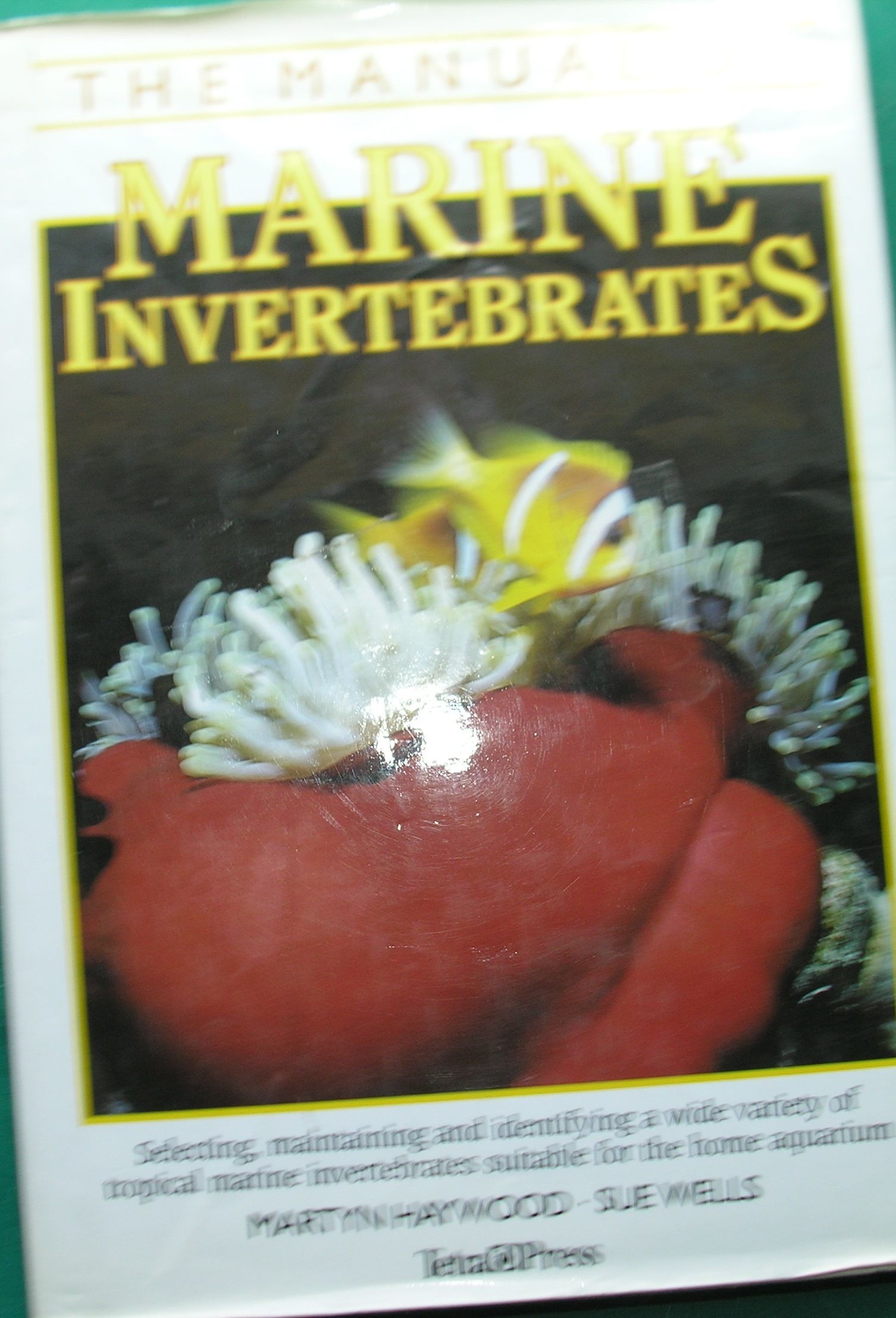 The Manual of Marine Invertebrates by Martyn; Wells, Sue Haywood ...