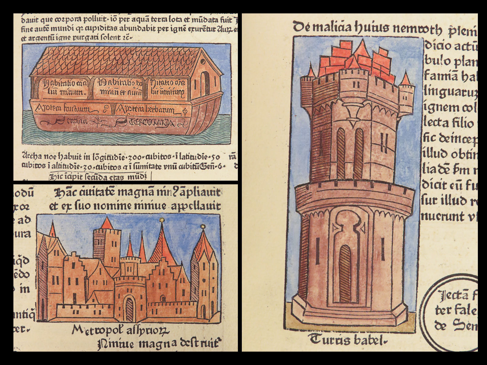 [Fasciculus temporum] by ROLEWINCK, Werner | Leather; tight and secure ...