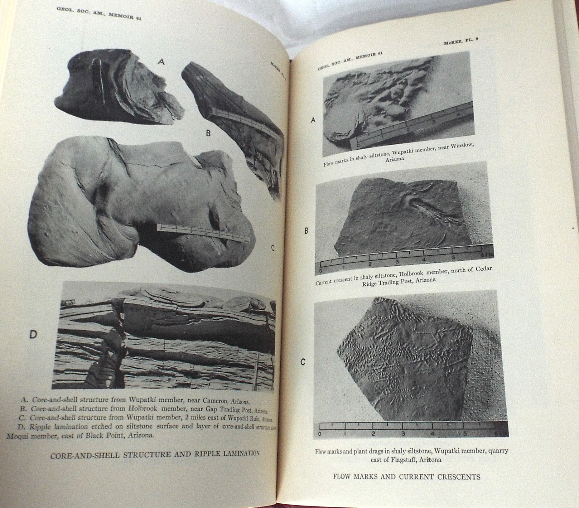STRATIGRAPHY AND HISTORY OF THE MOENKOPI FORMATION OF TRIASSIC AGE The ...