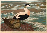 Clifford Cyril Webb - EIDER DUCK - Limited edition colour linocut print ...