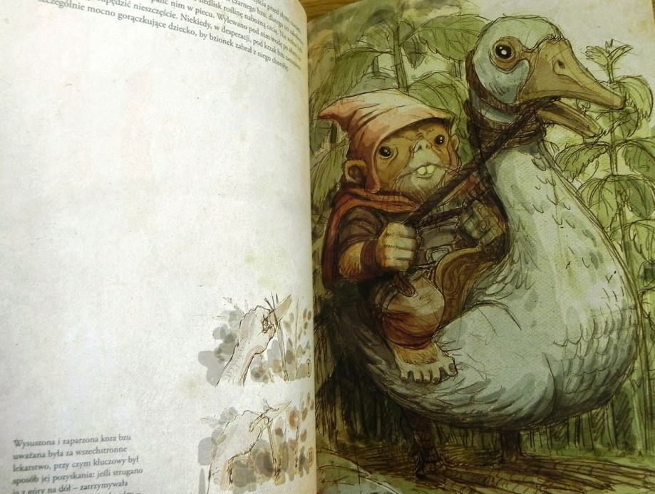 BESTIARIUSZ SLOWIANSKI. RZECZ O SKRZATACH, WODNIKACH I RUSALKACH (THE ...