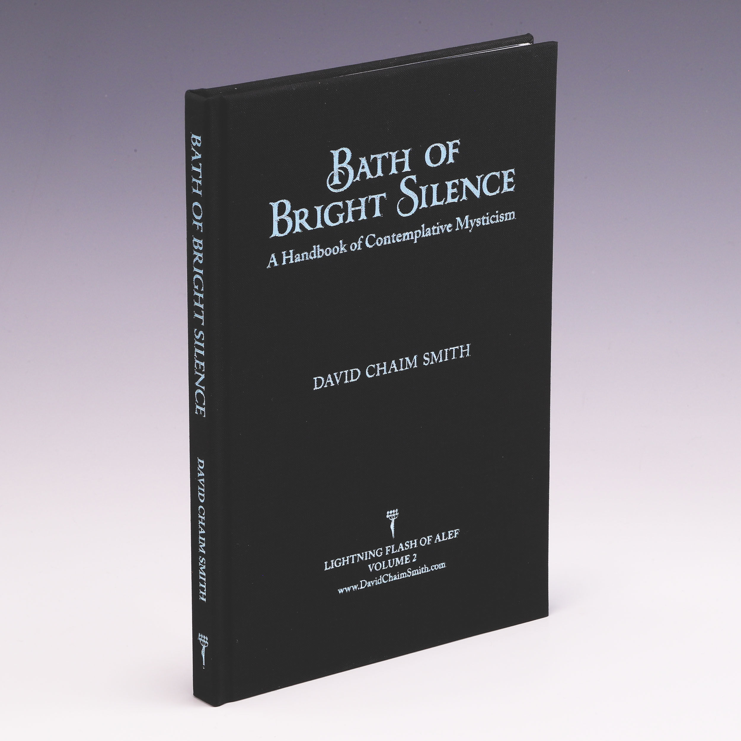 Bath of Bright Silence: A Handbook of Contemplative Mysticism by David ...