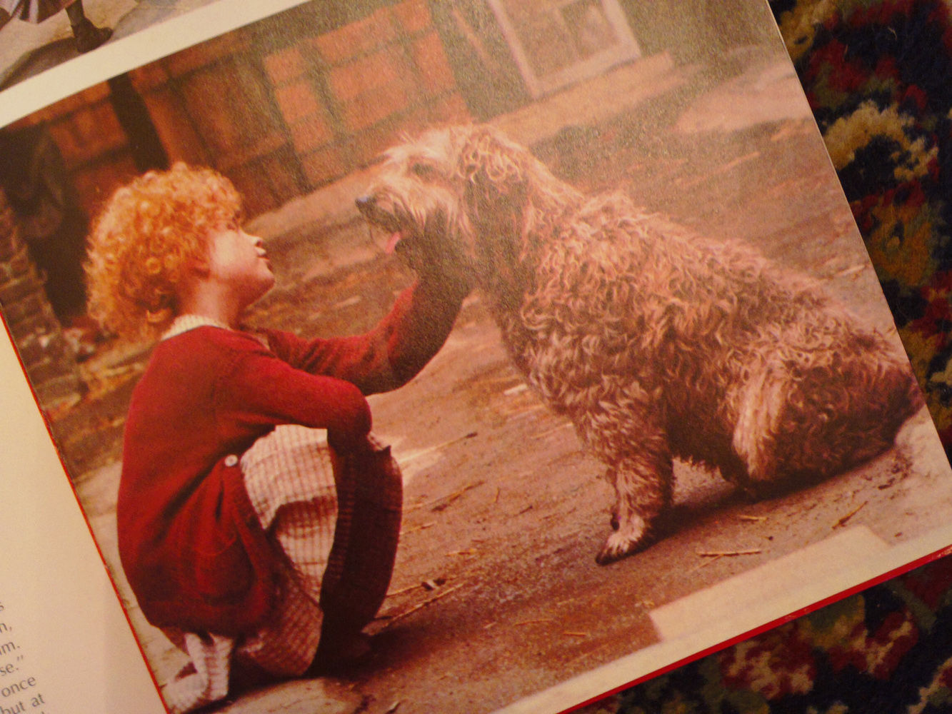 ANNIE : THE STORYBOOK : BASED ON THE MOVIE by Ehrlich, Amy | Hardcover ...