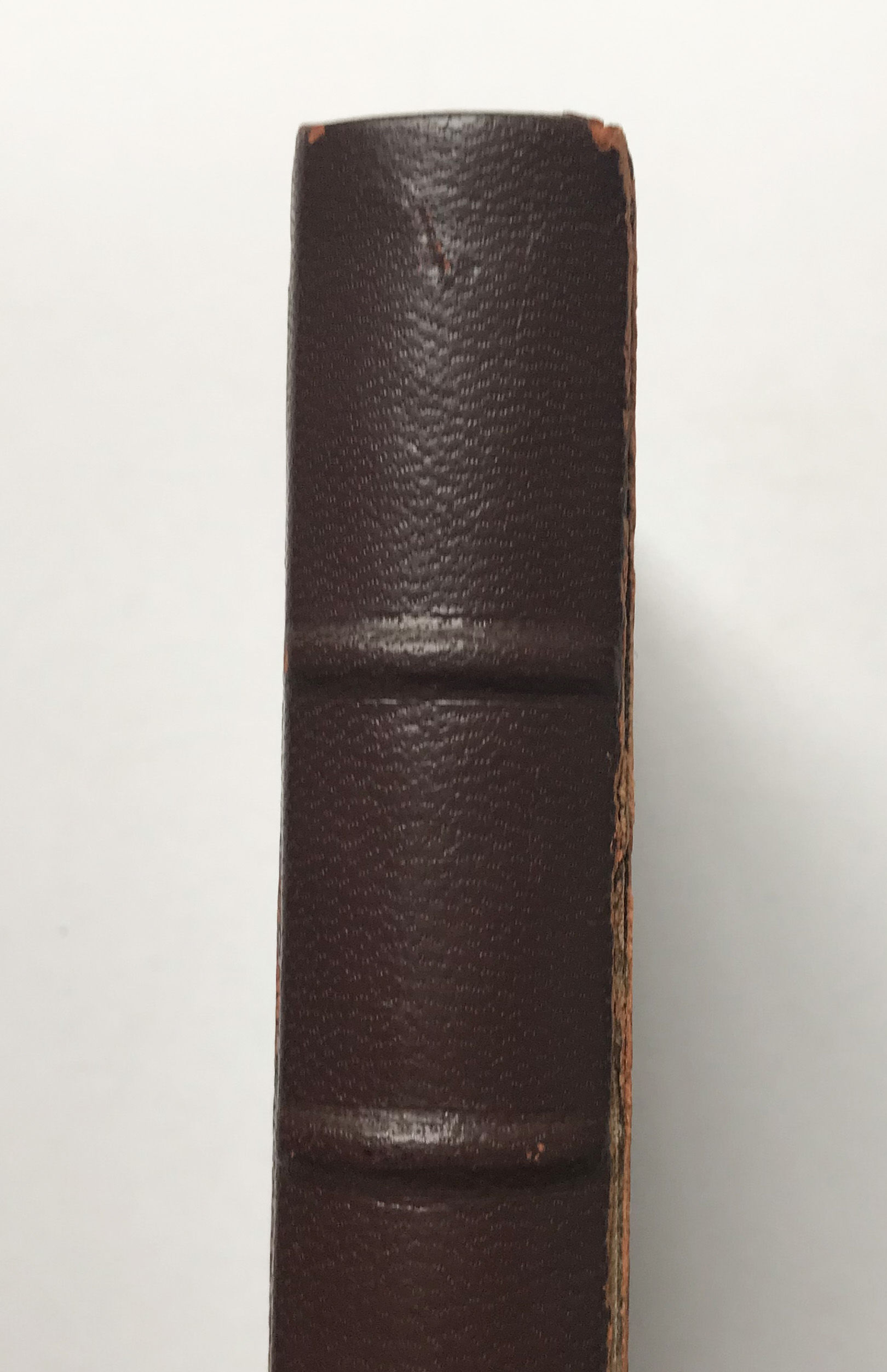 The Book of the Feet by Joseph Sparkes Hall | Full leather | 1847 ...