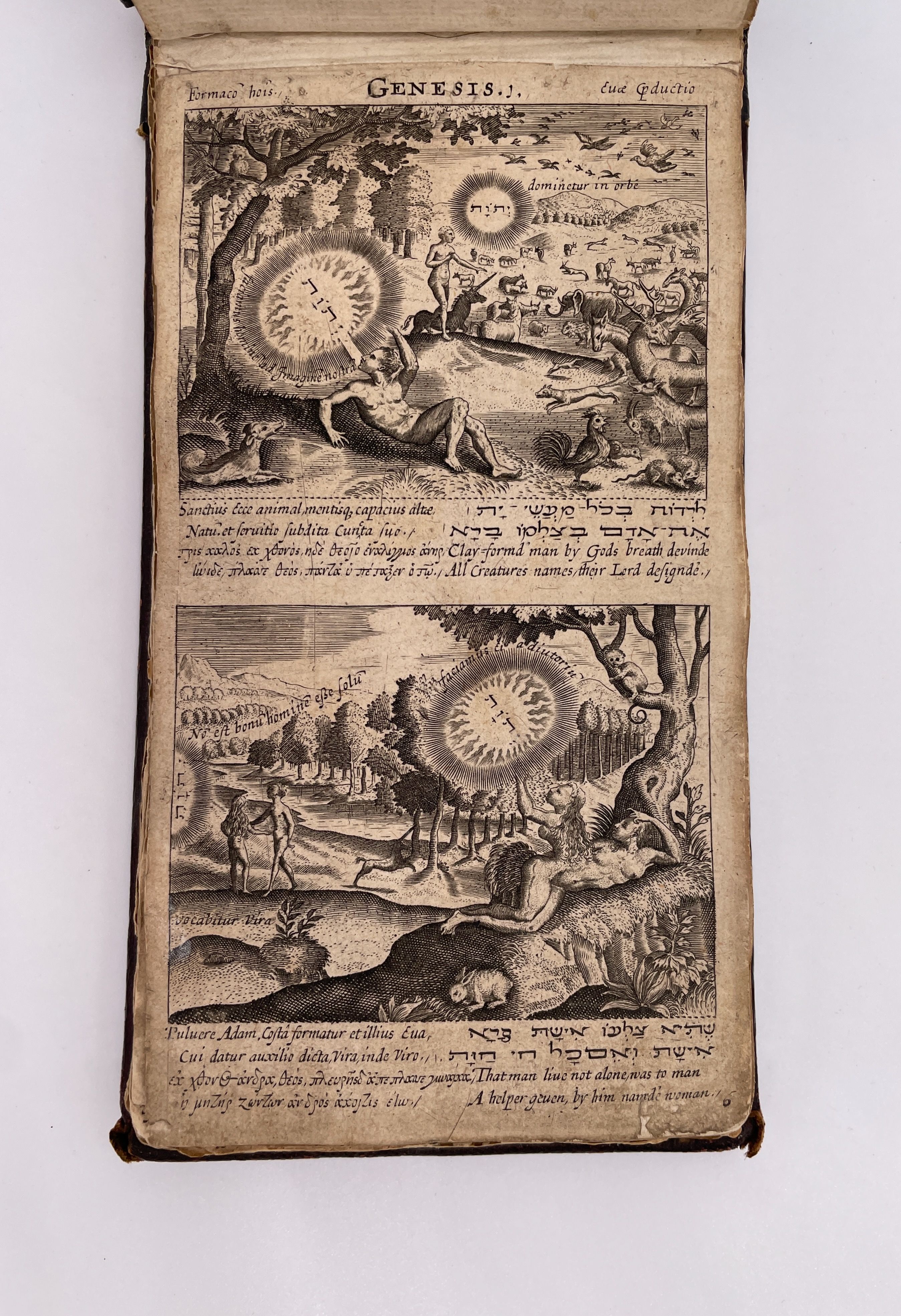 Set of C17 Biblical engravings gathered into a single volume in the ...