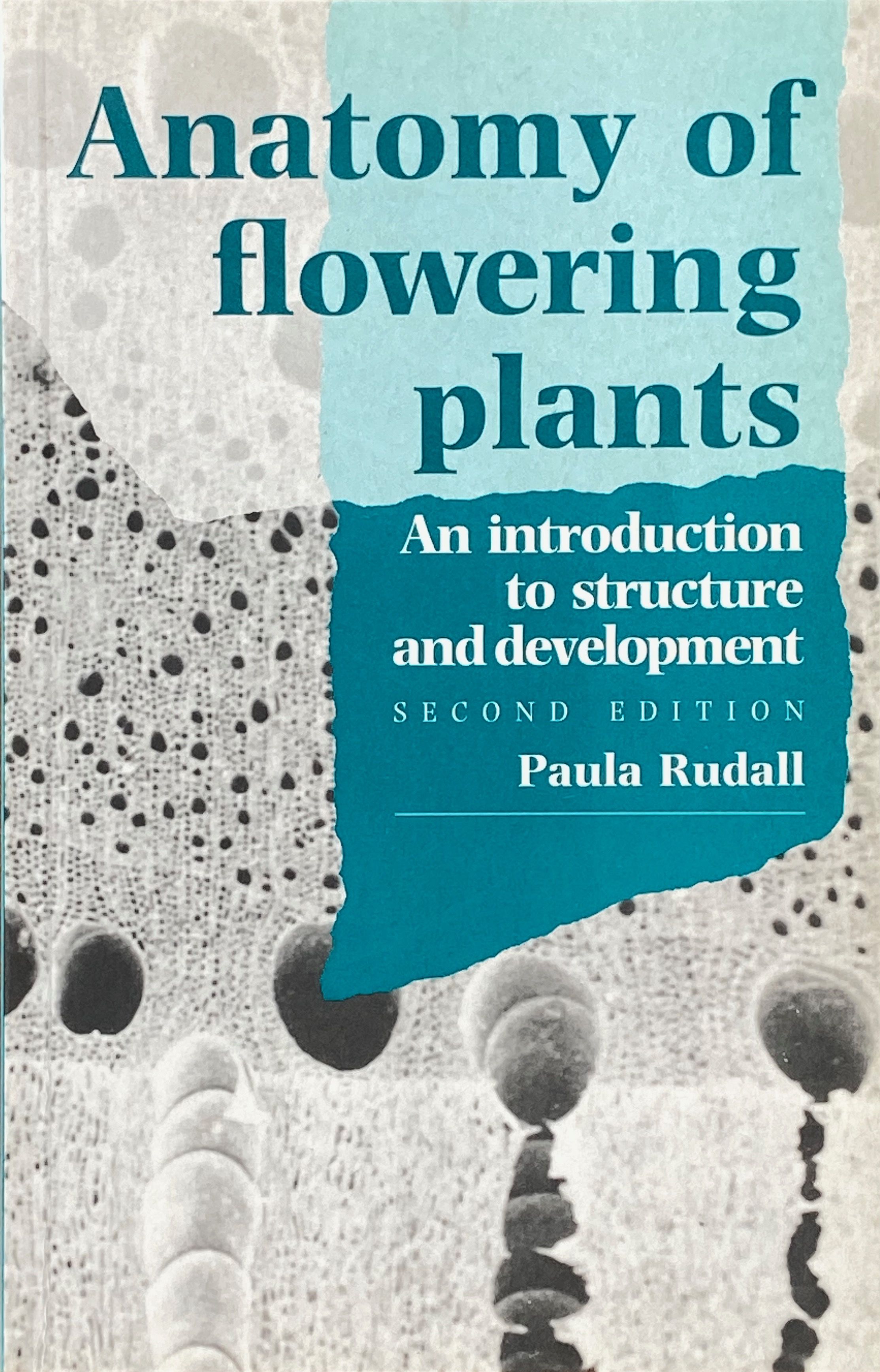 Anatomy Of Angiosperm