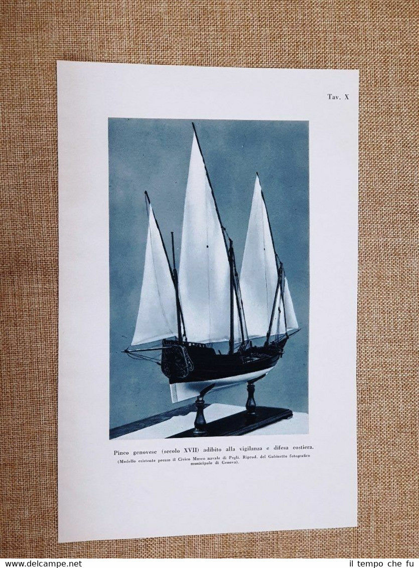 Pinco genovese del secolo XVII Difesa costiera Museo navale di Pegli ...