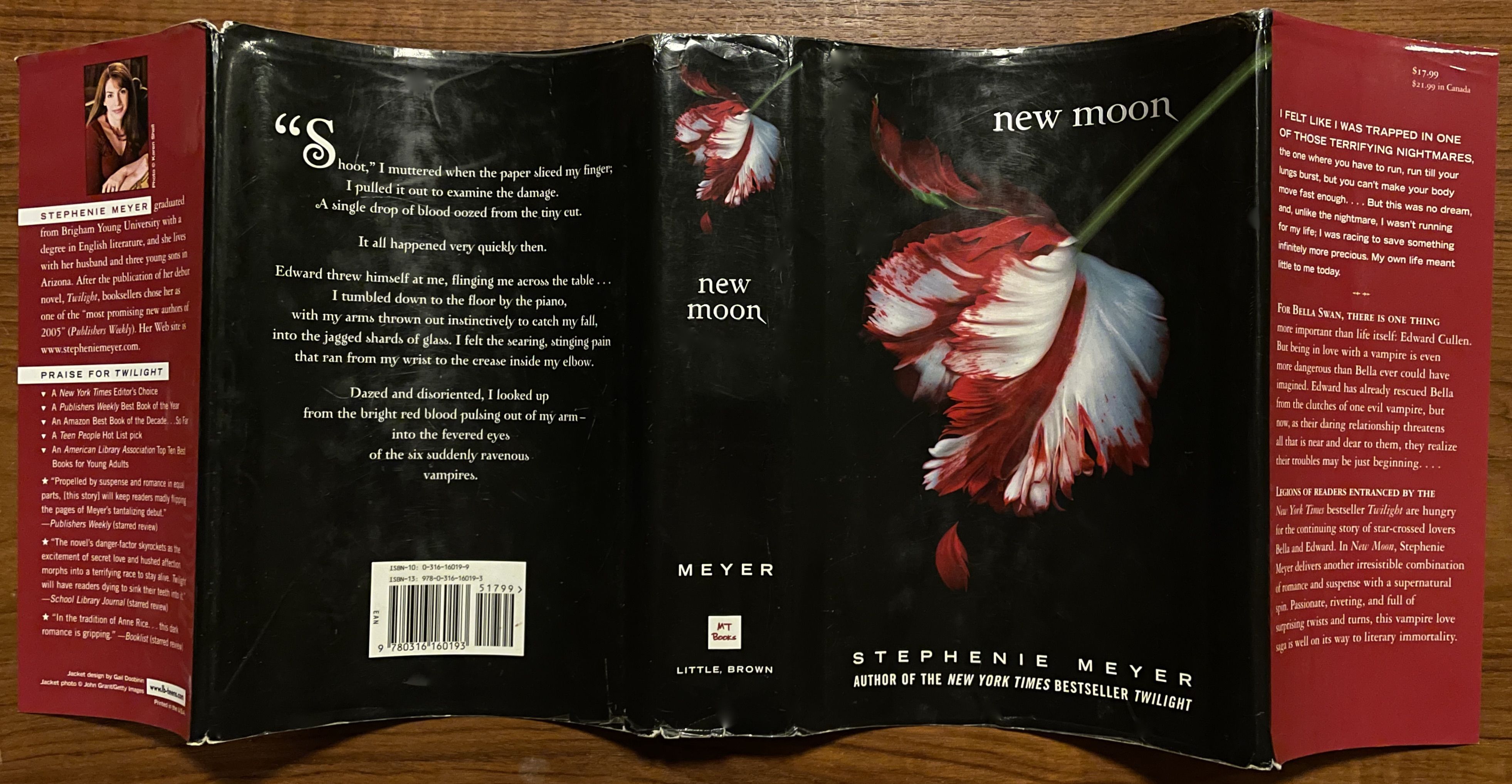 Twilight New Moon Book