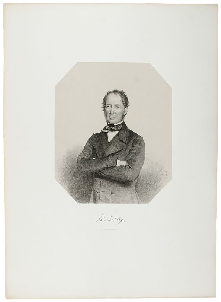 John Lindley by Thomas Herbert MAGUIRE - 1850 - from Donald Heald Rare ...