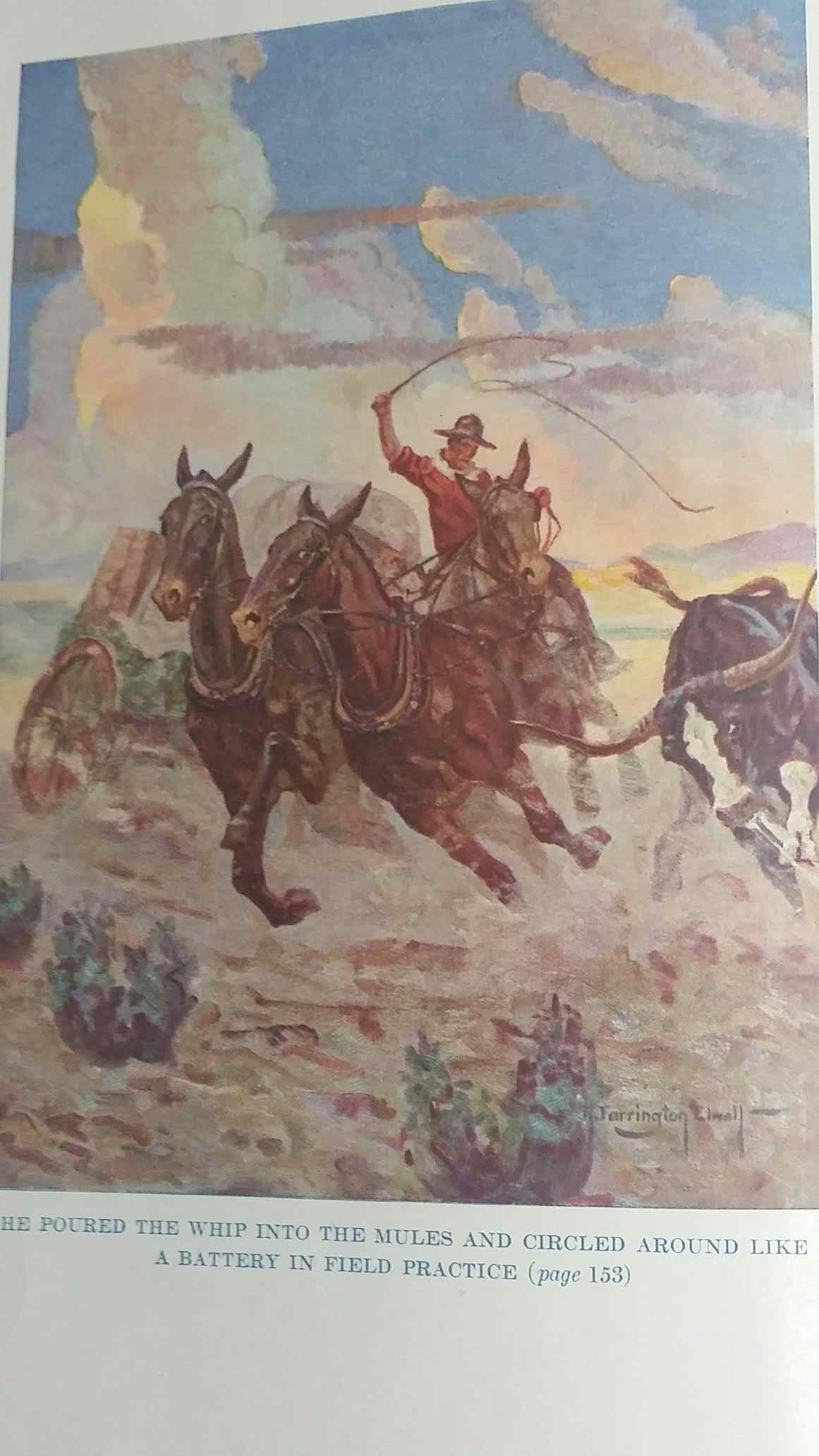 The Log Of A Cowboy by Andy Adams | Binding is intact - Near Fine ...