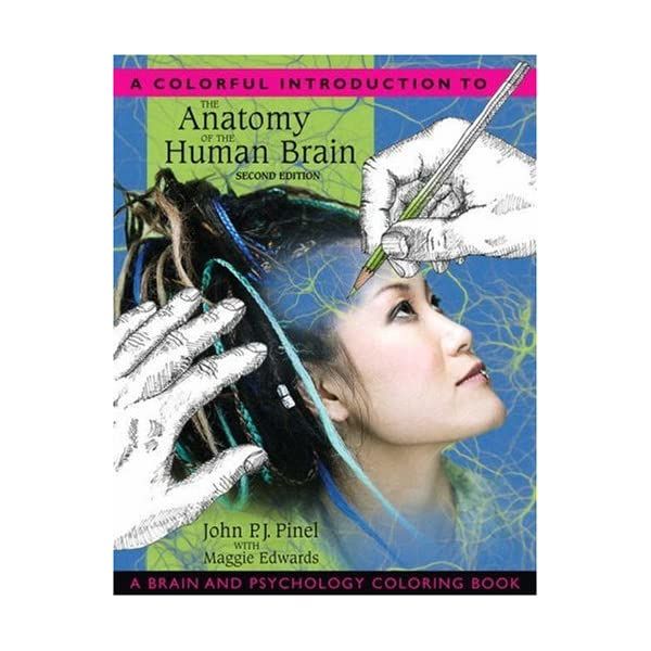 A Colorful Introduction To The Anatomy Of The Human Brain