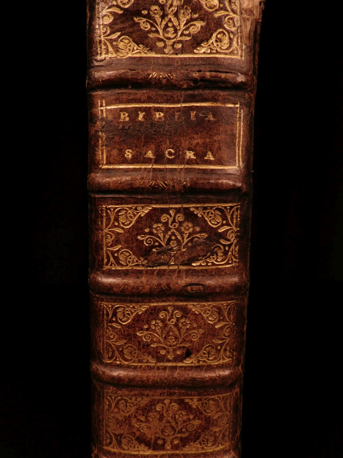 Biblia Sacra, Vulgatae ed., Sixti V. Pont. Max. jussu recognita et ...