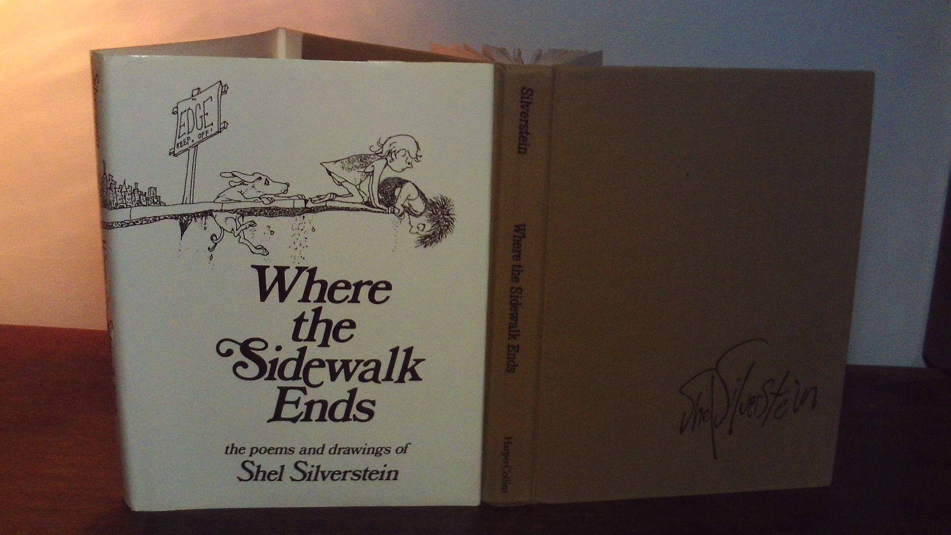 Where The Sidewalk Ends Book Cover