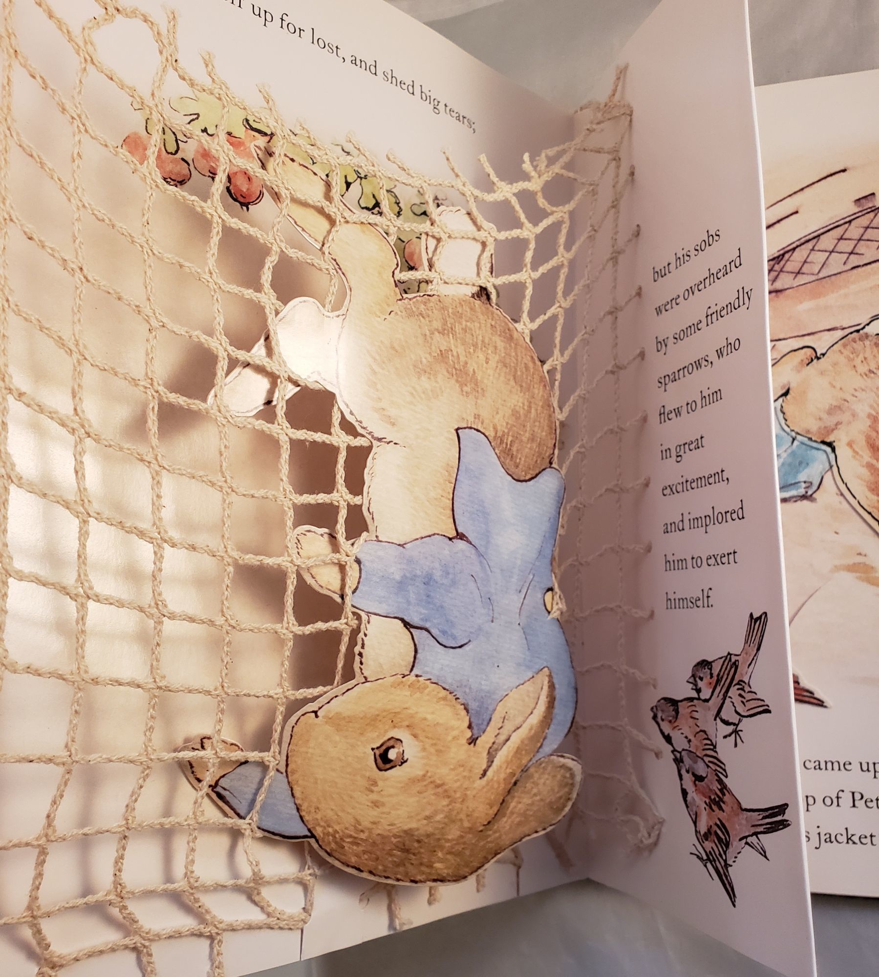 Peter Rabbit Pop Up Book