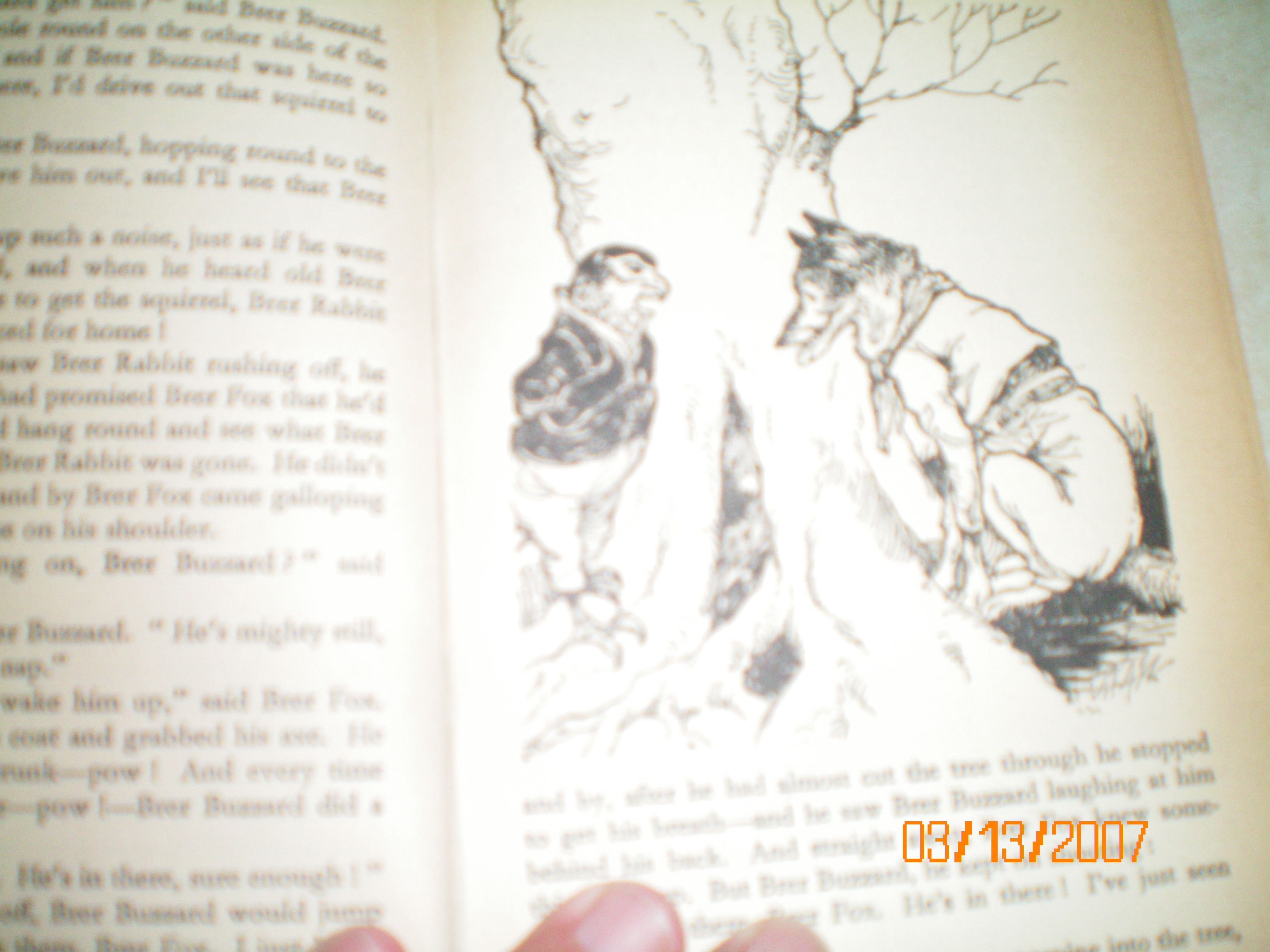 ENID BLYTON'S BRER RABBIT BOOK by Enid Blyton | Glossy Pictorial Boards ...