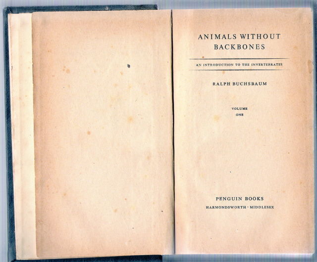 Animals Without Backbones Book