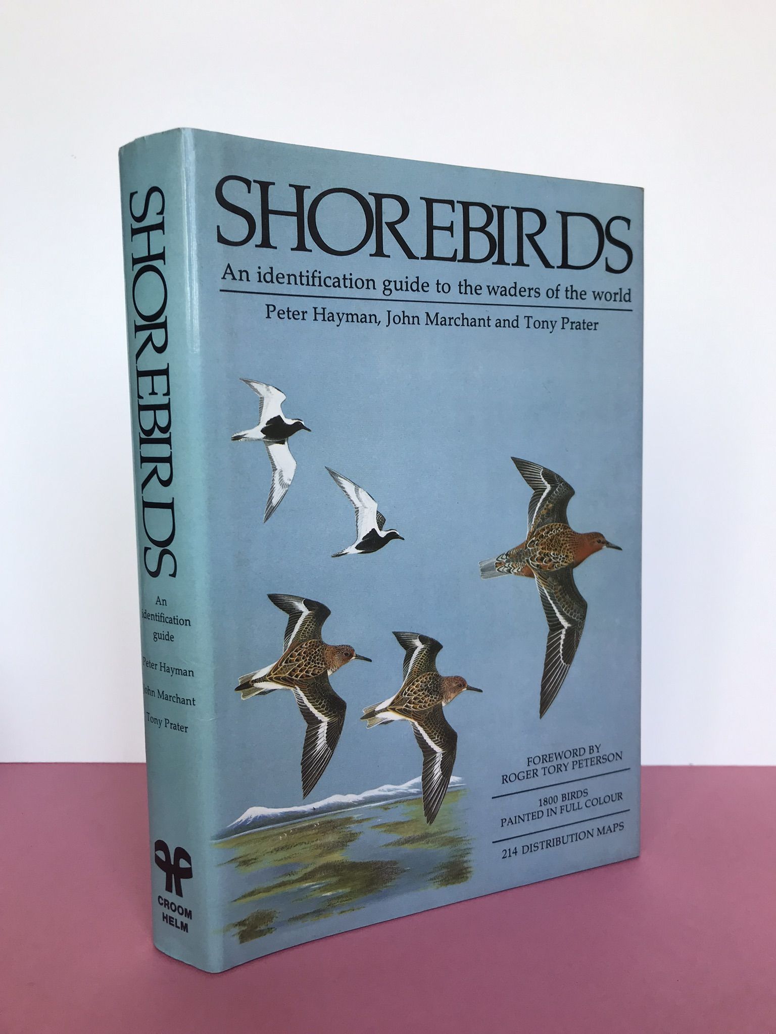 SHOREBIRDS AN IDENTIFICATION GUIDE TO THE WADERS OF THE WORLD by Hayman ...