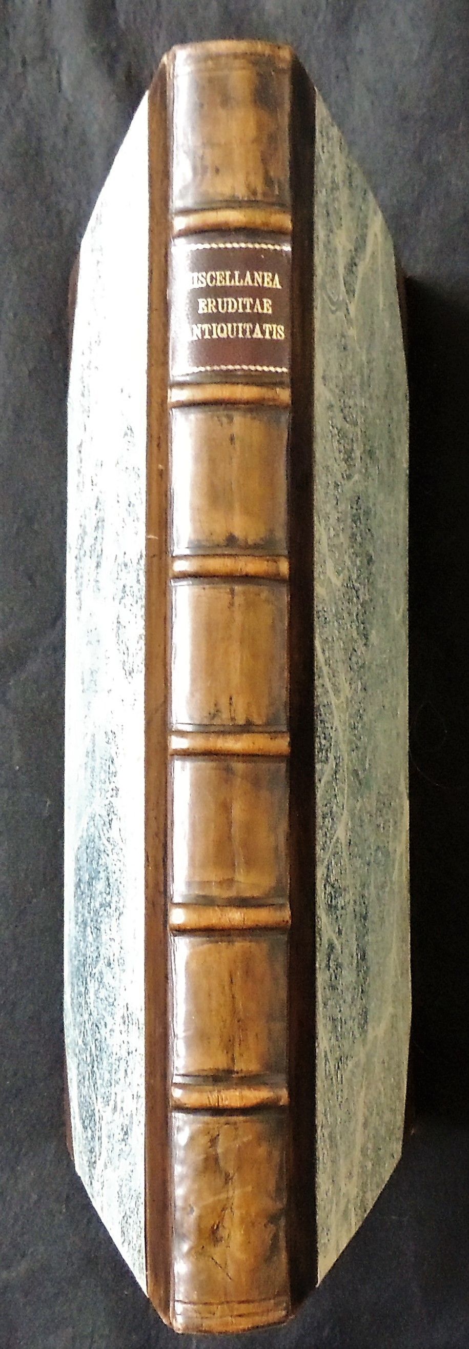 MISCELLANEA ERUDITAE ANTIQUITATIS: in quibus marmora, statuae, musiva ...