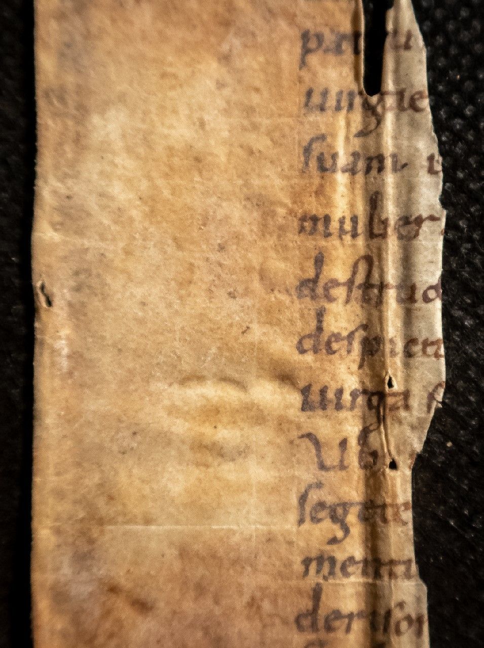 MSS fragment of a Bible from the C10th. by [Bible] [MS] | 950 | Biblio