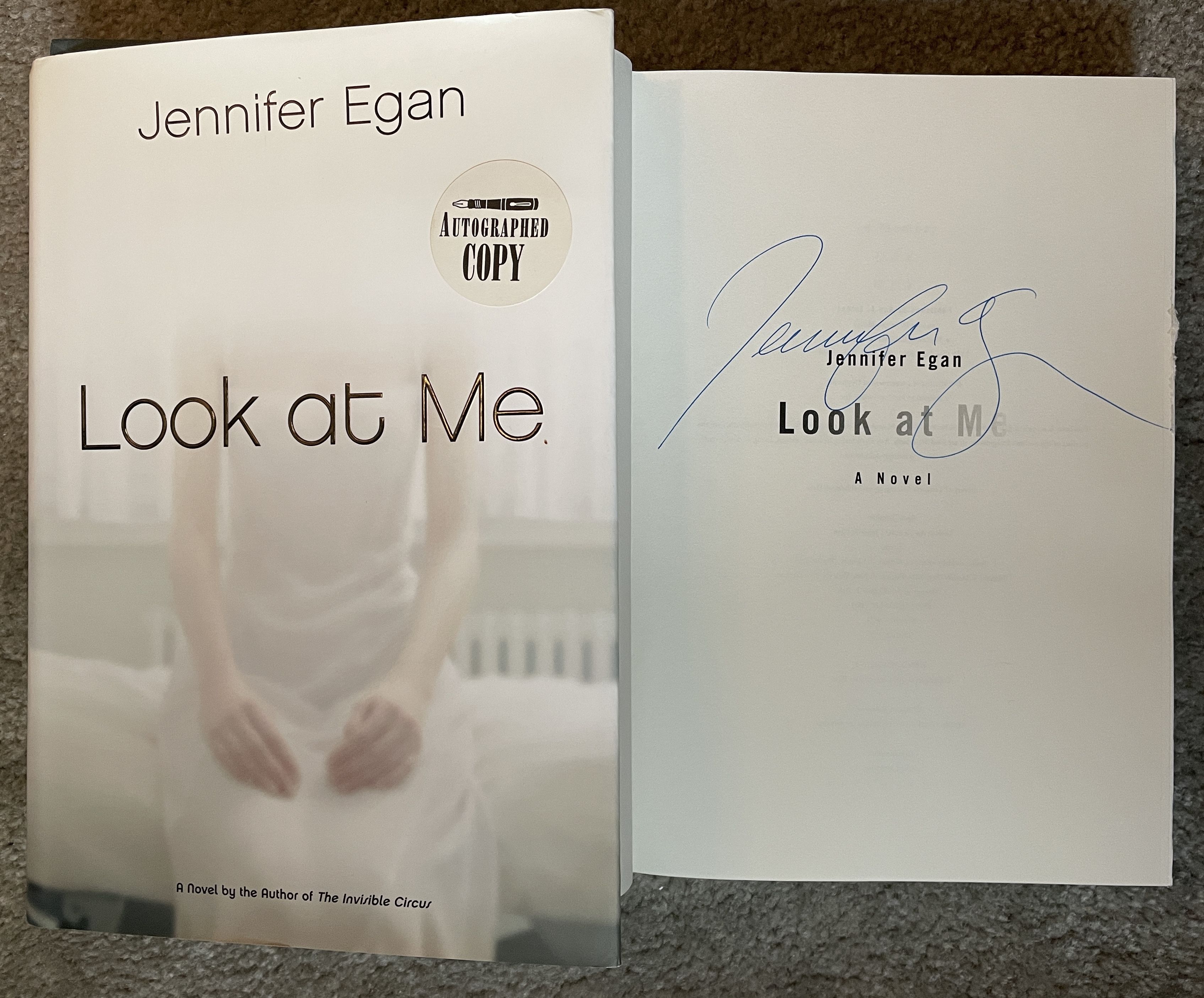 Jennifer Egan Look At Me