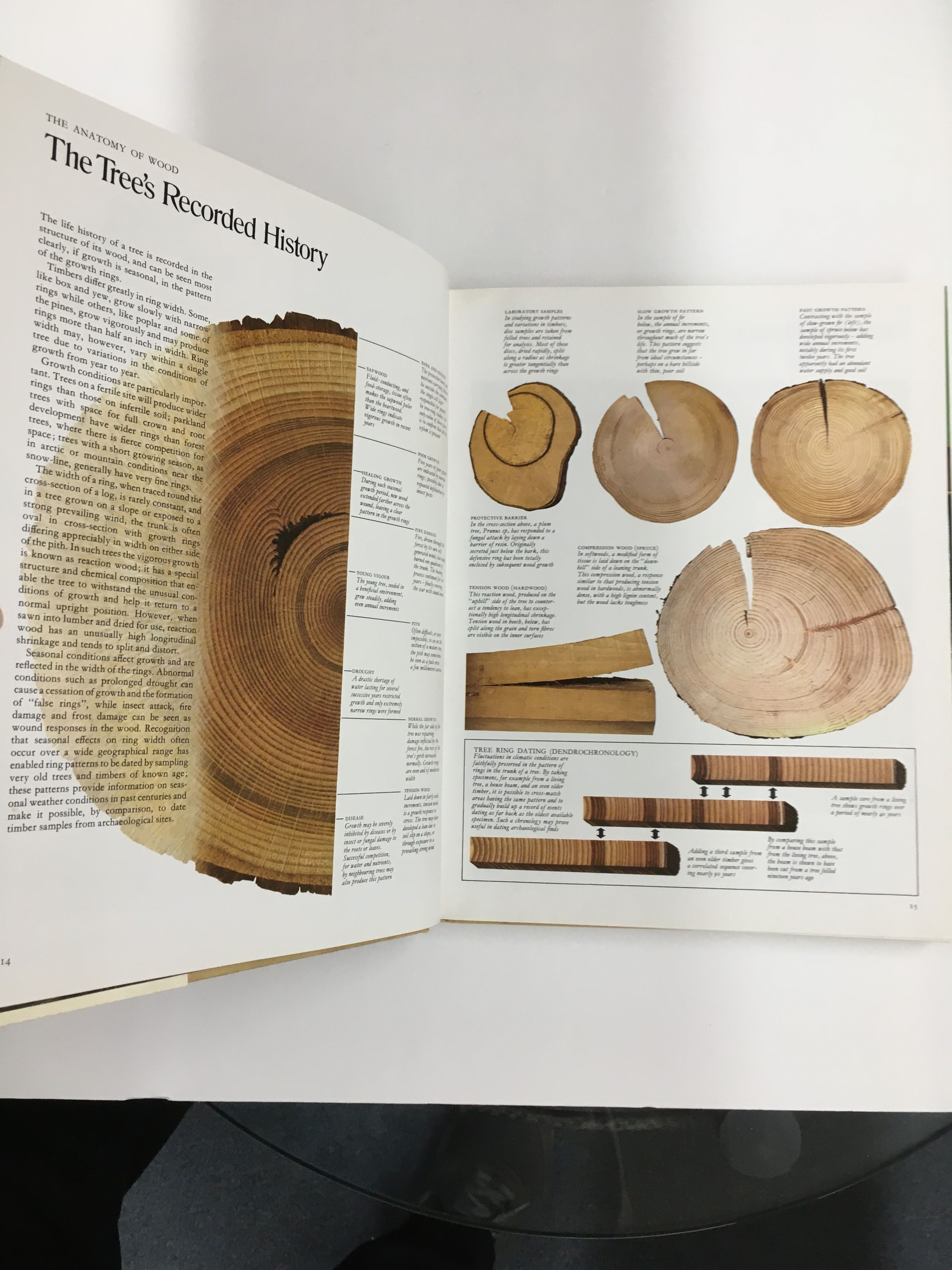 International Book Of Wood by Editor: Martyn Bramwell | Paper over ...