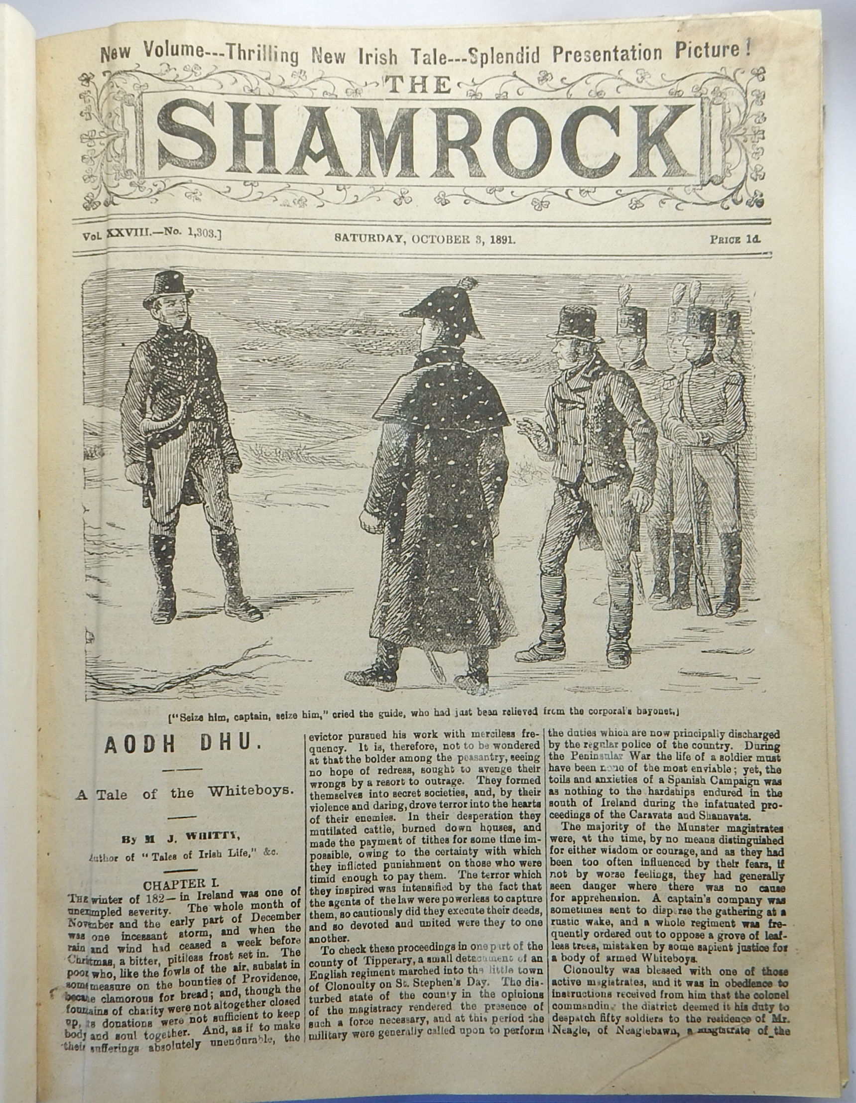 The SHAMROCK The National Magazine of Ireland - 1891 to 1892 - 51 ...