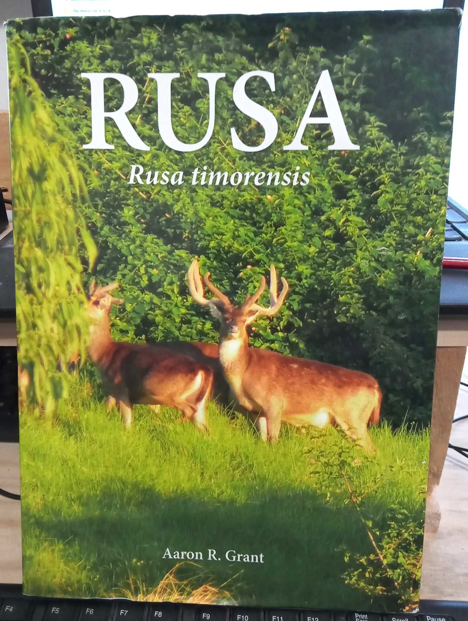 Rusa Rusa Timorensis by Aaron R Grant | Hardcover | 2016 | Chase Game ...