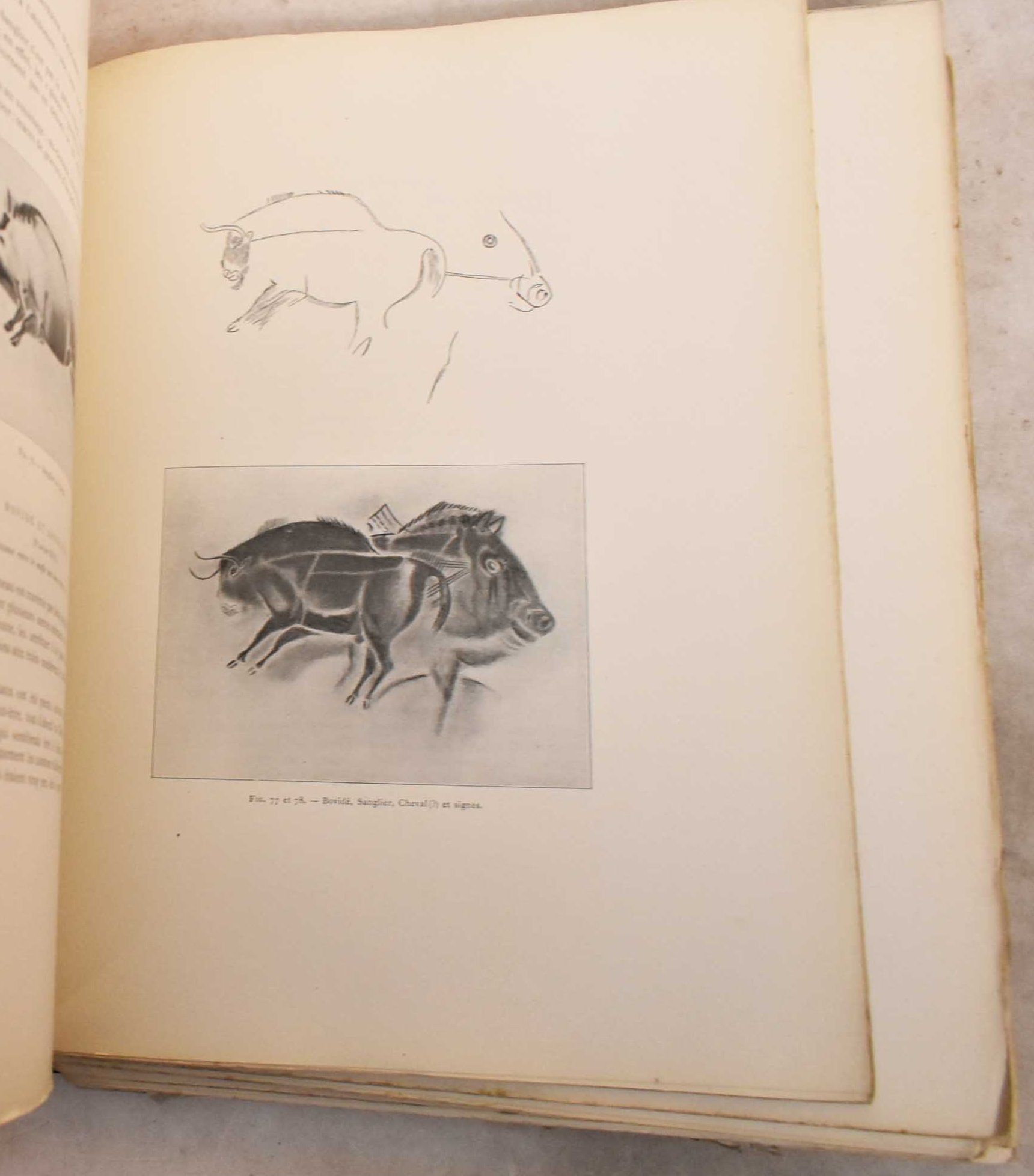 Peintures et Gravures Murales des Cavernes Paleolithiques. La Caverne d ...