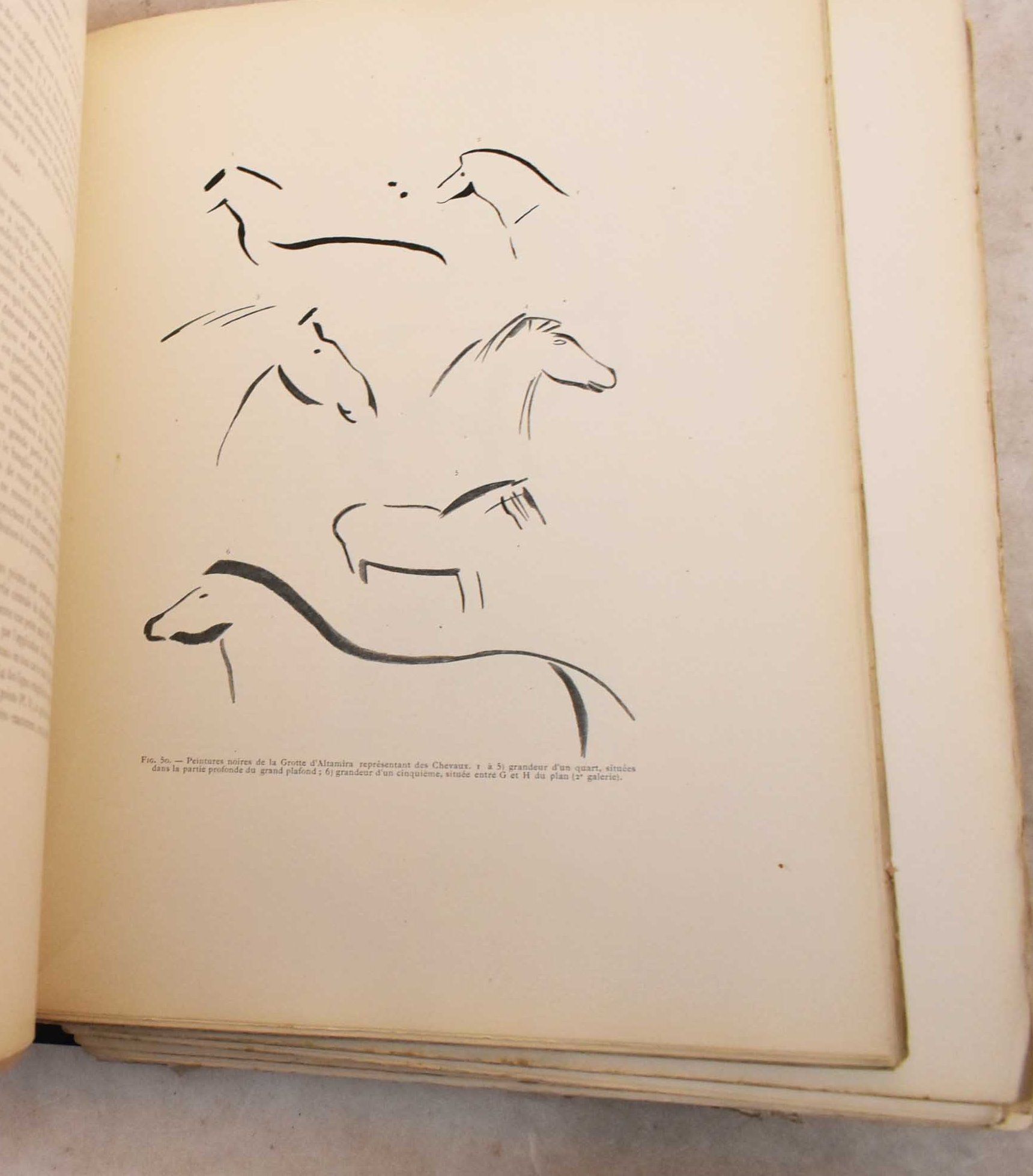 Peintures et Gravures Murales des Cavernes Paleolithiques. La Caverne d ...