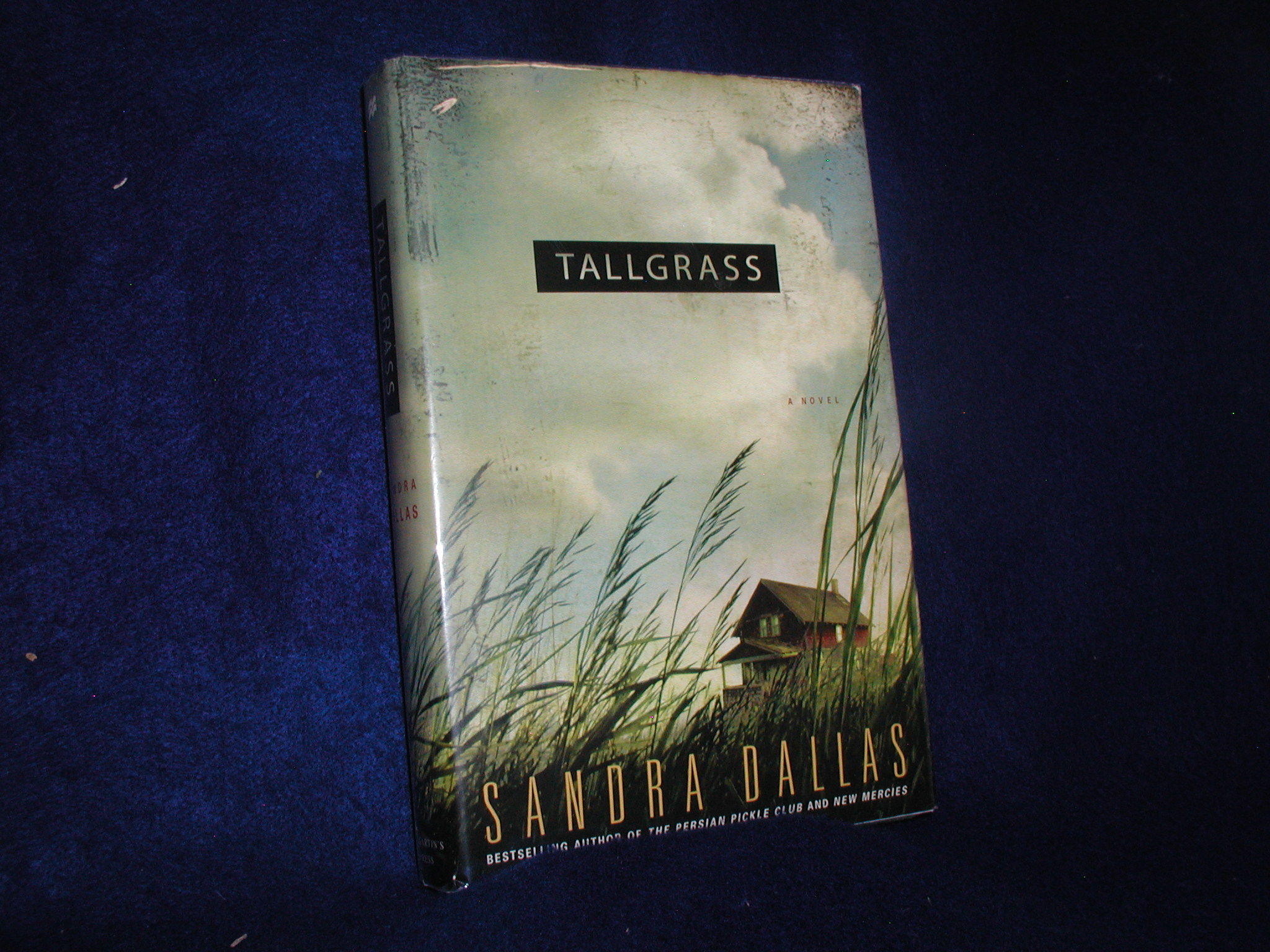 New Sandra Dallas Book