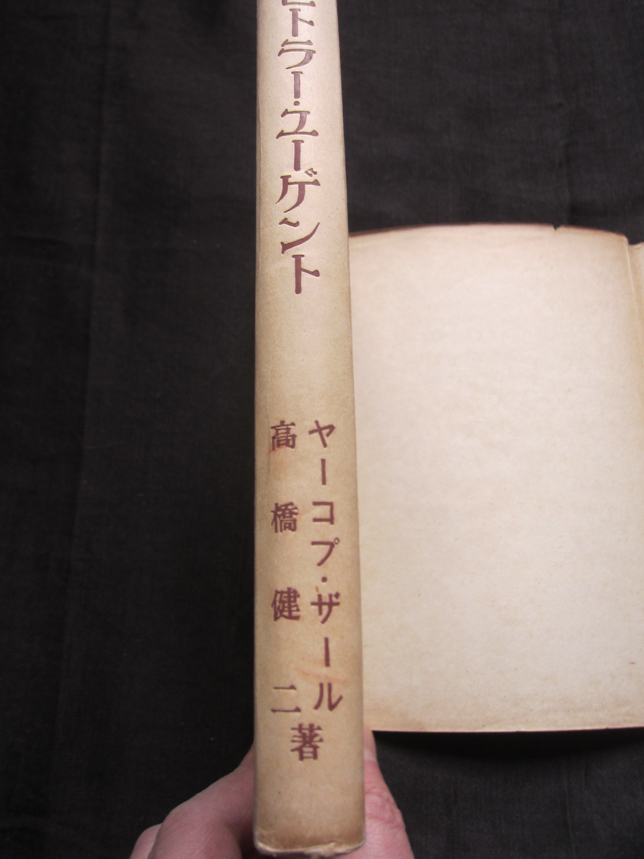 Hitlerjugend, japanese book about Hitler Youth WW2, illustrated ...