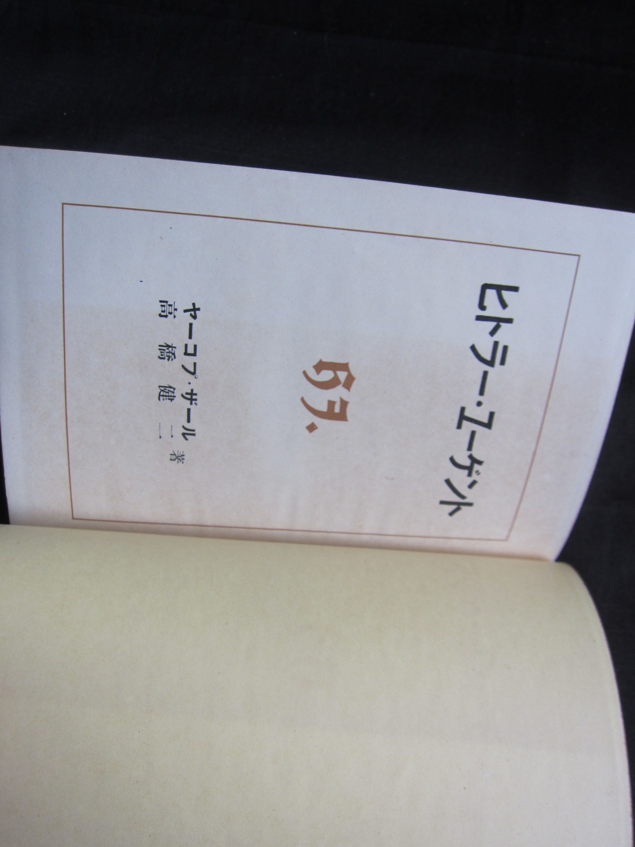 Hitlerjugend, japanese book about Hitler Youth WW2, illustrated ...