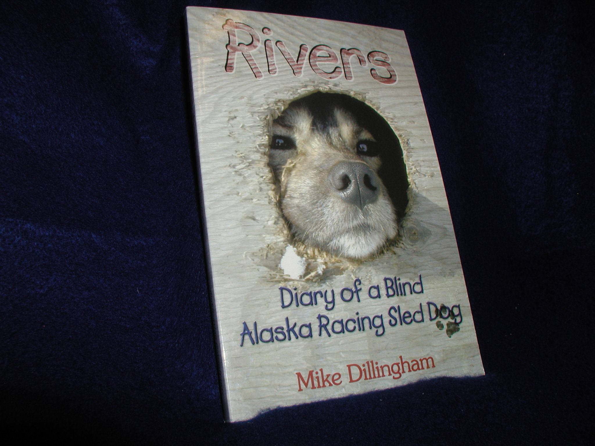Rivers: Diary of a Blind Alaska Racing Sled Dog by Dillingham, Mike ...
