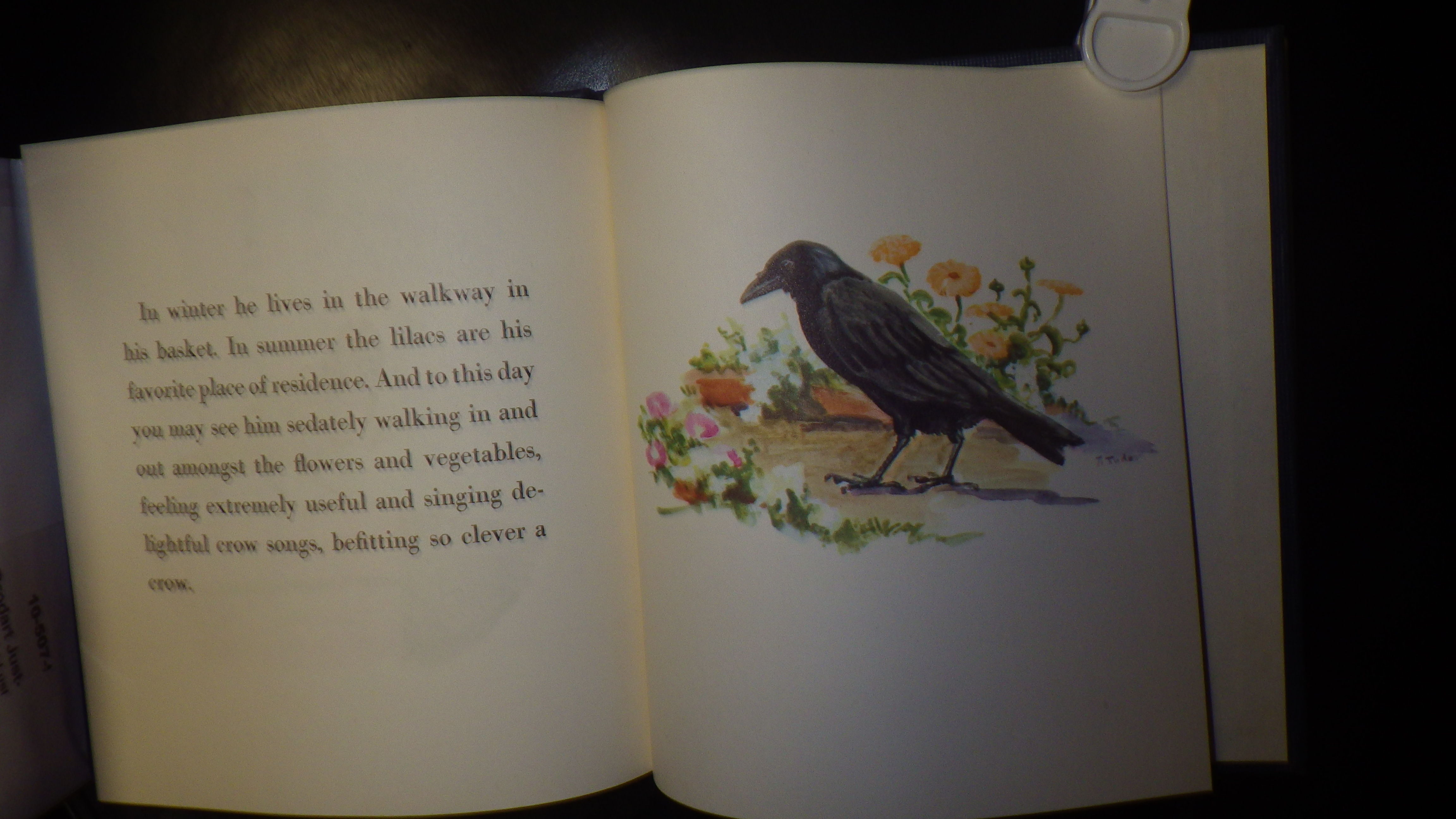 EDGAR ALLAN CROW, SIGNED BY TASHA TUDOR ,A charming story of a crow ...