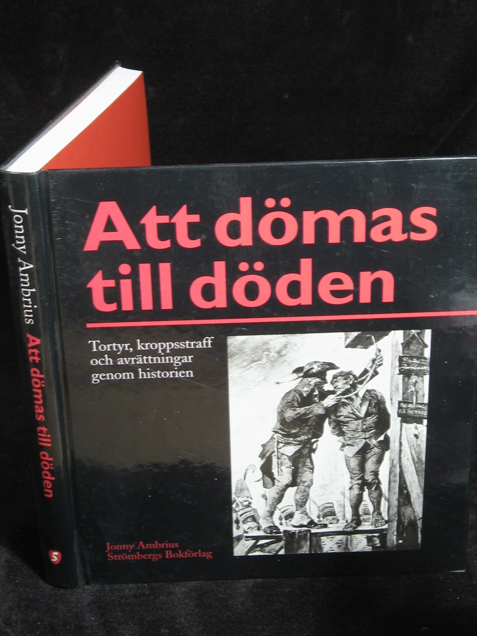 Att Dömas Till Döden Tortyr Kroppsstraff Och Avrättningar Genom