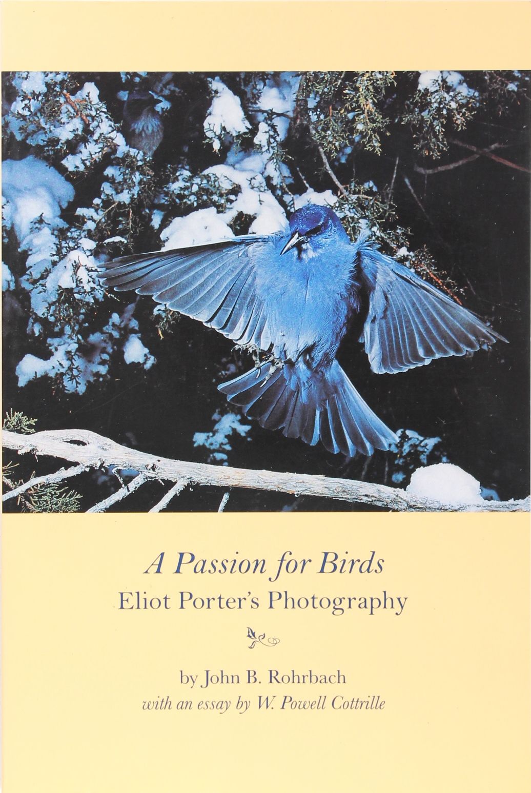 Eliot Porter Birds