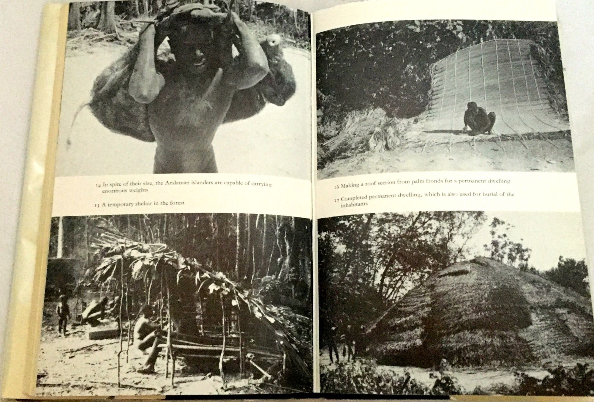 THE ANDAMAN ISLANDERS; Edited and Translated by D. Taylor Cox assisted ...