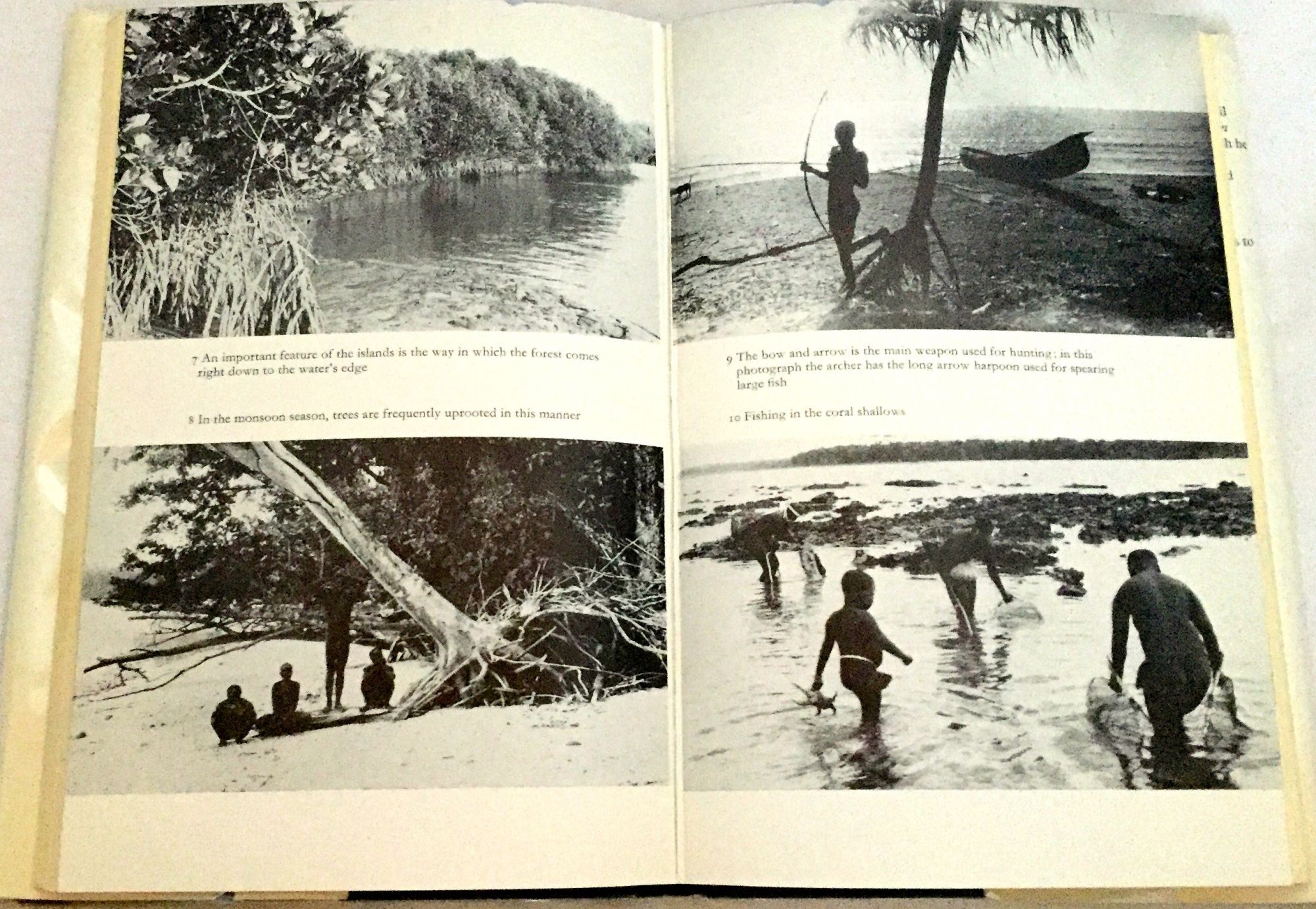 THE ANDAMAN ISLANDERS; Edited and Translated by D. Taylor Cox assisted ...