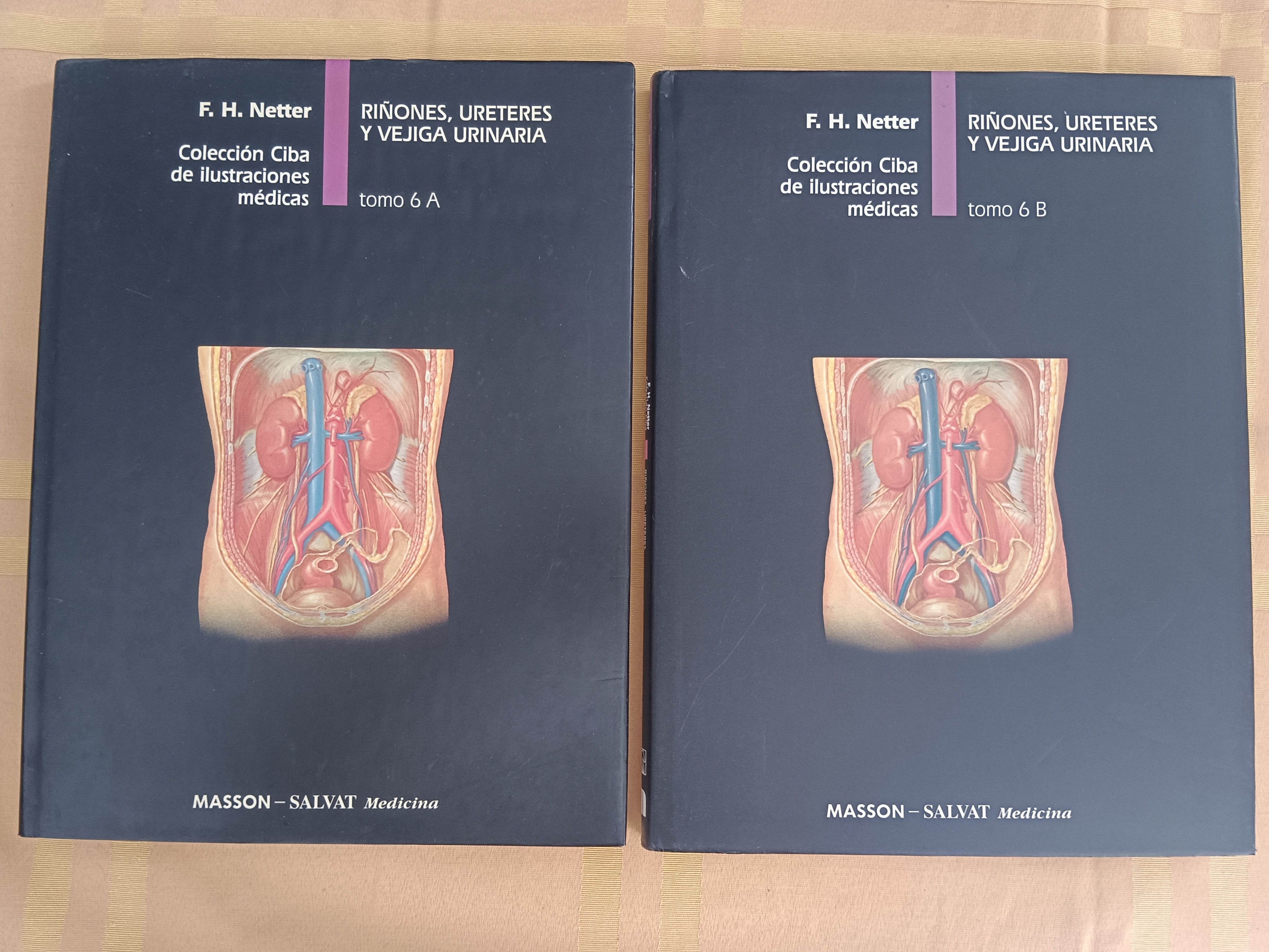RIÑONES, URETERES Y VEJIGA URINARIA - TOMO 6 B by F. H. Netter | Simil ...