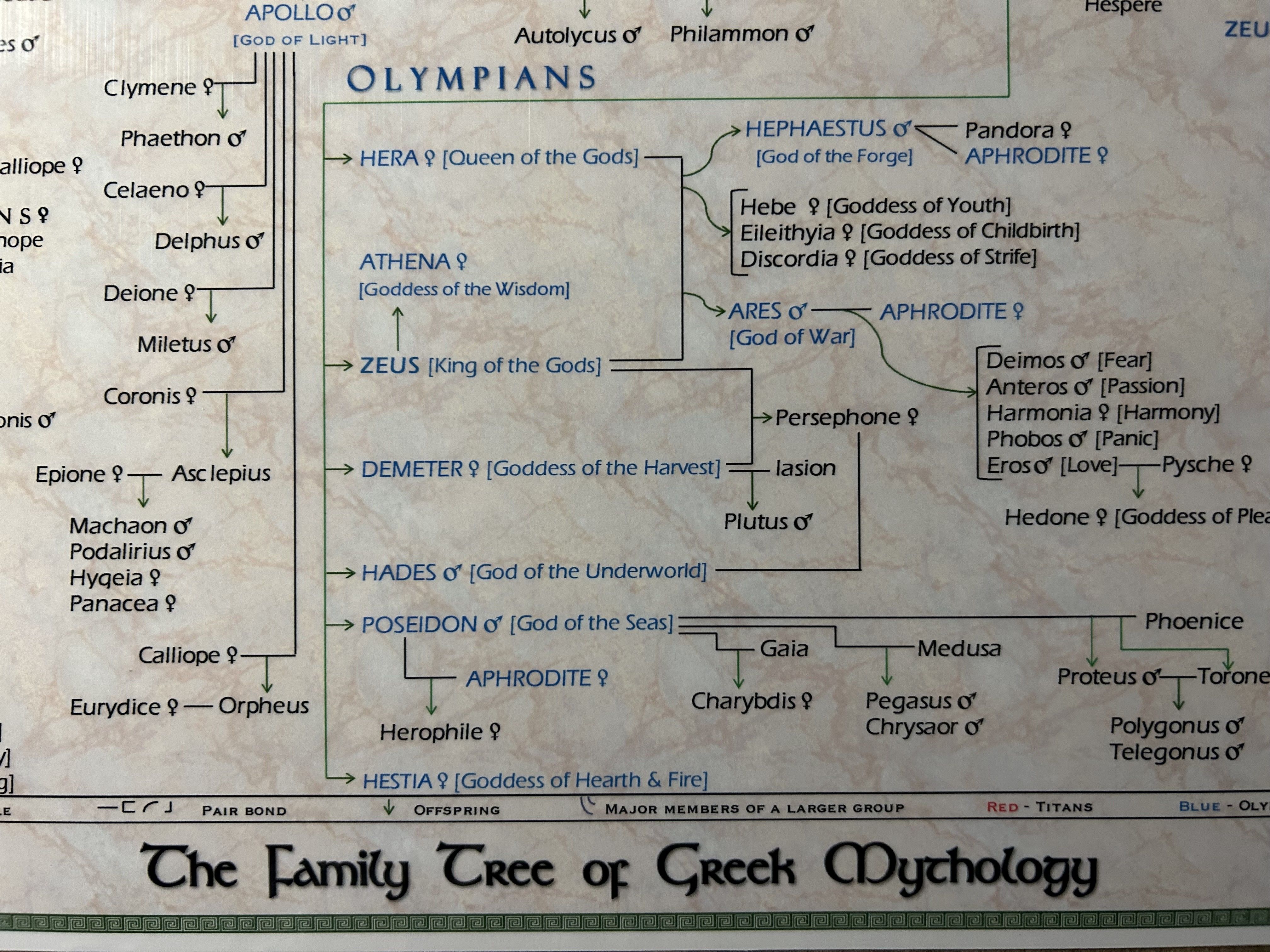 Ancient Greek Gods Family Tree Ks2