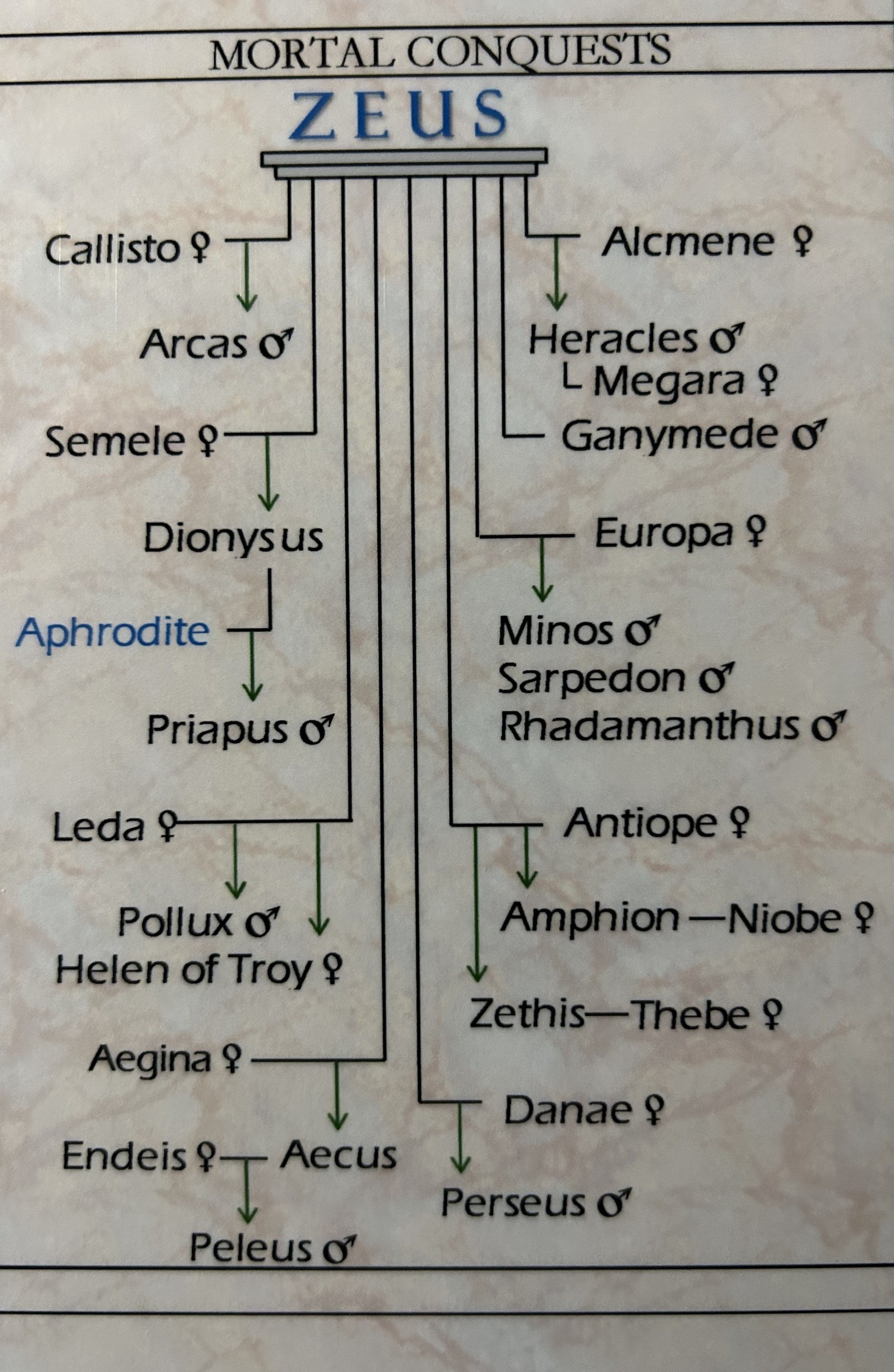 The Titans Greek Mythology Family Tree
